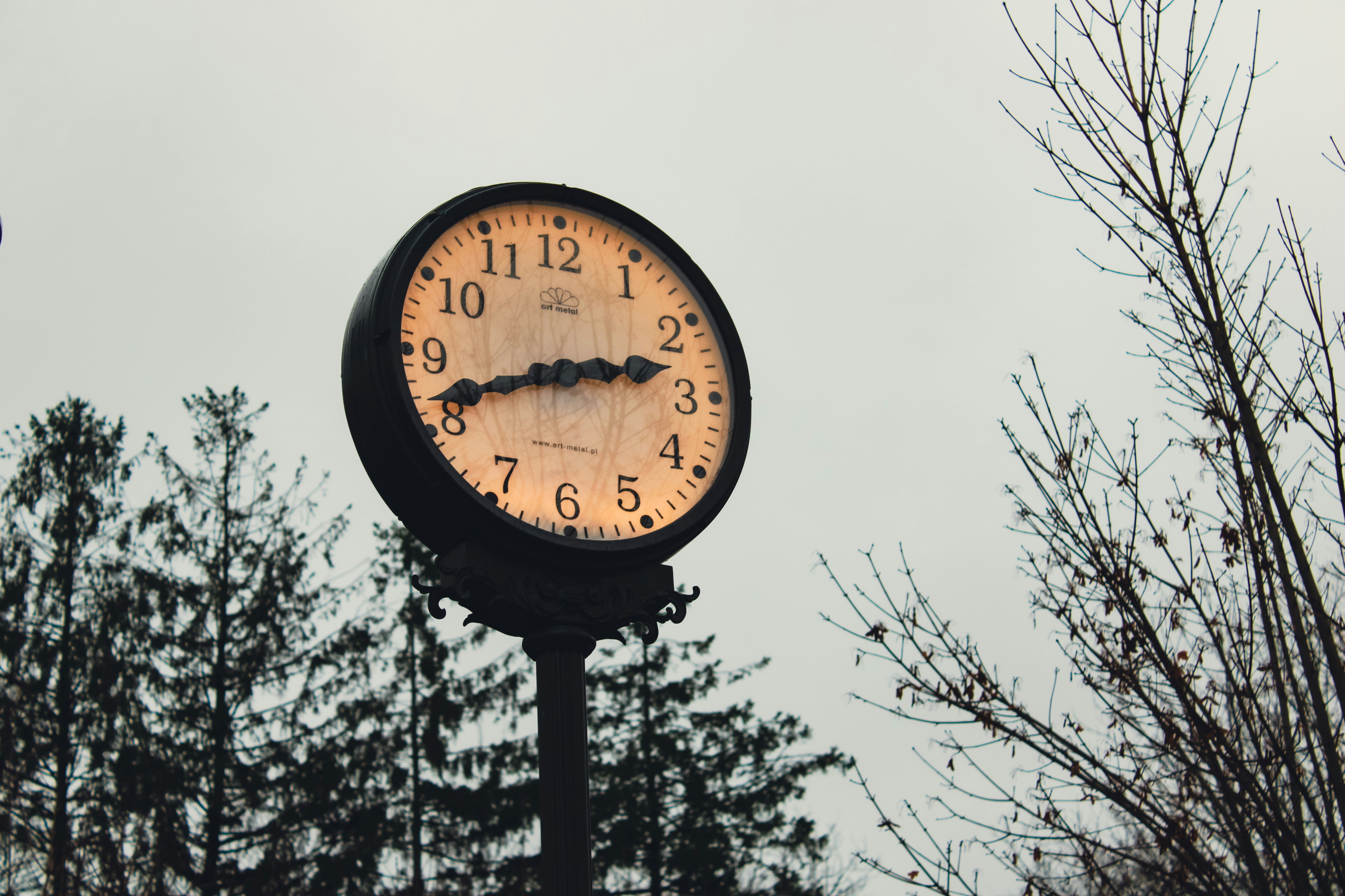 Photo by Teodora Popa with Canon EOS 2000D