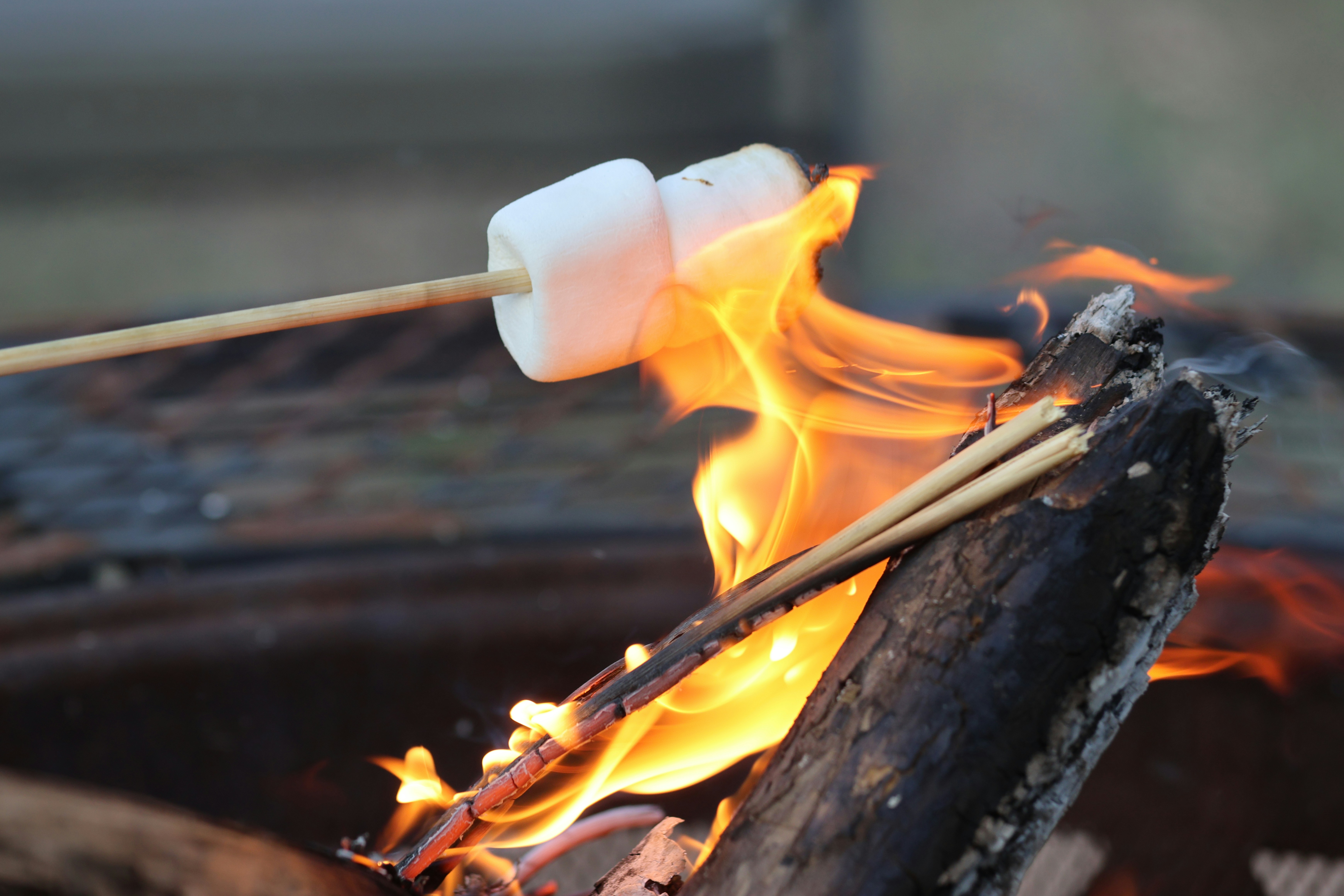 Marshmallow on a Torchlit Skewer: Firelight Portrait by the Campfire