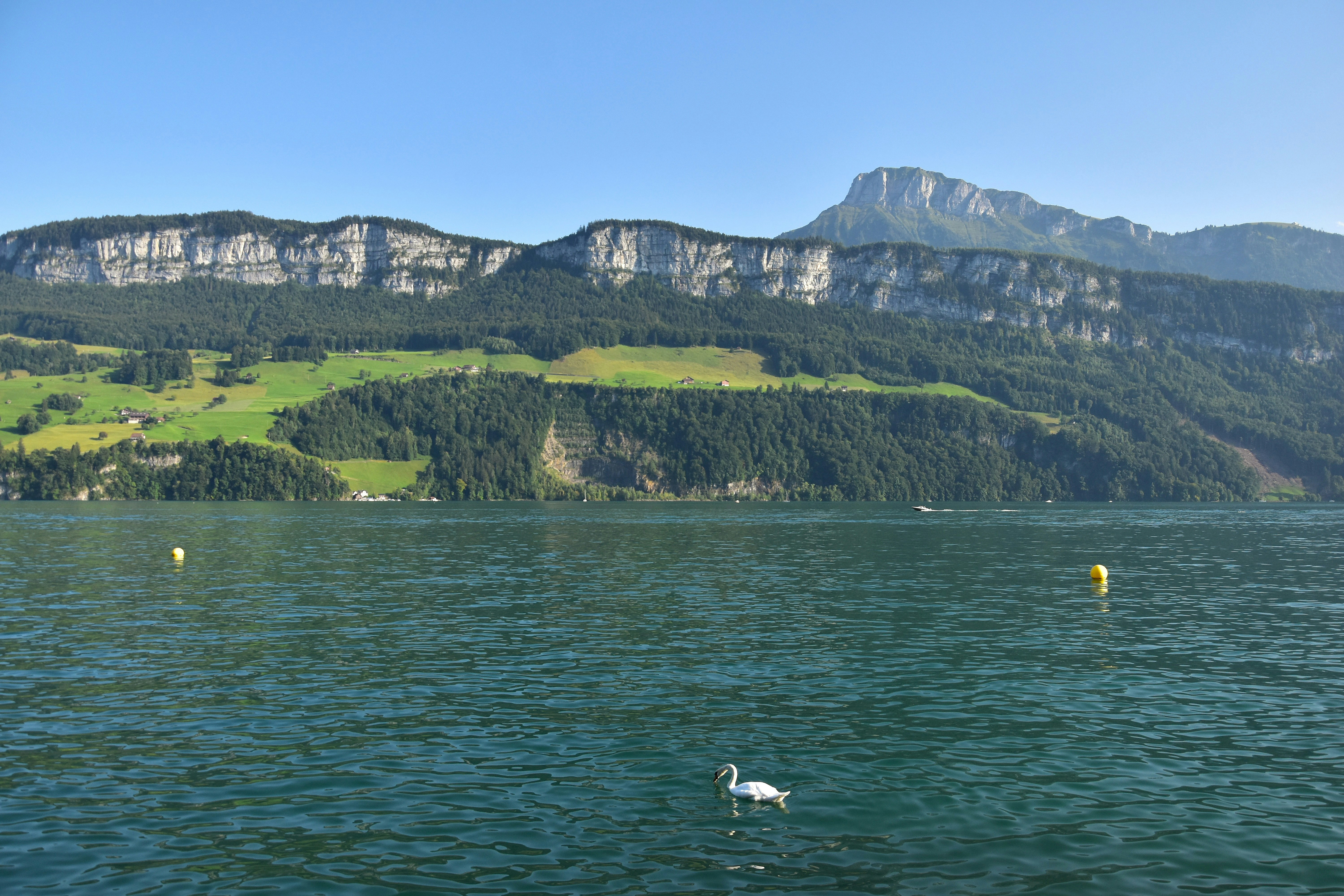 Majestic Alpine Lake Under a Clear Sky