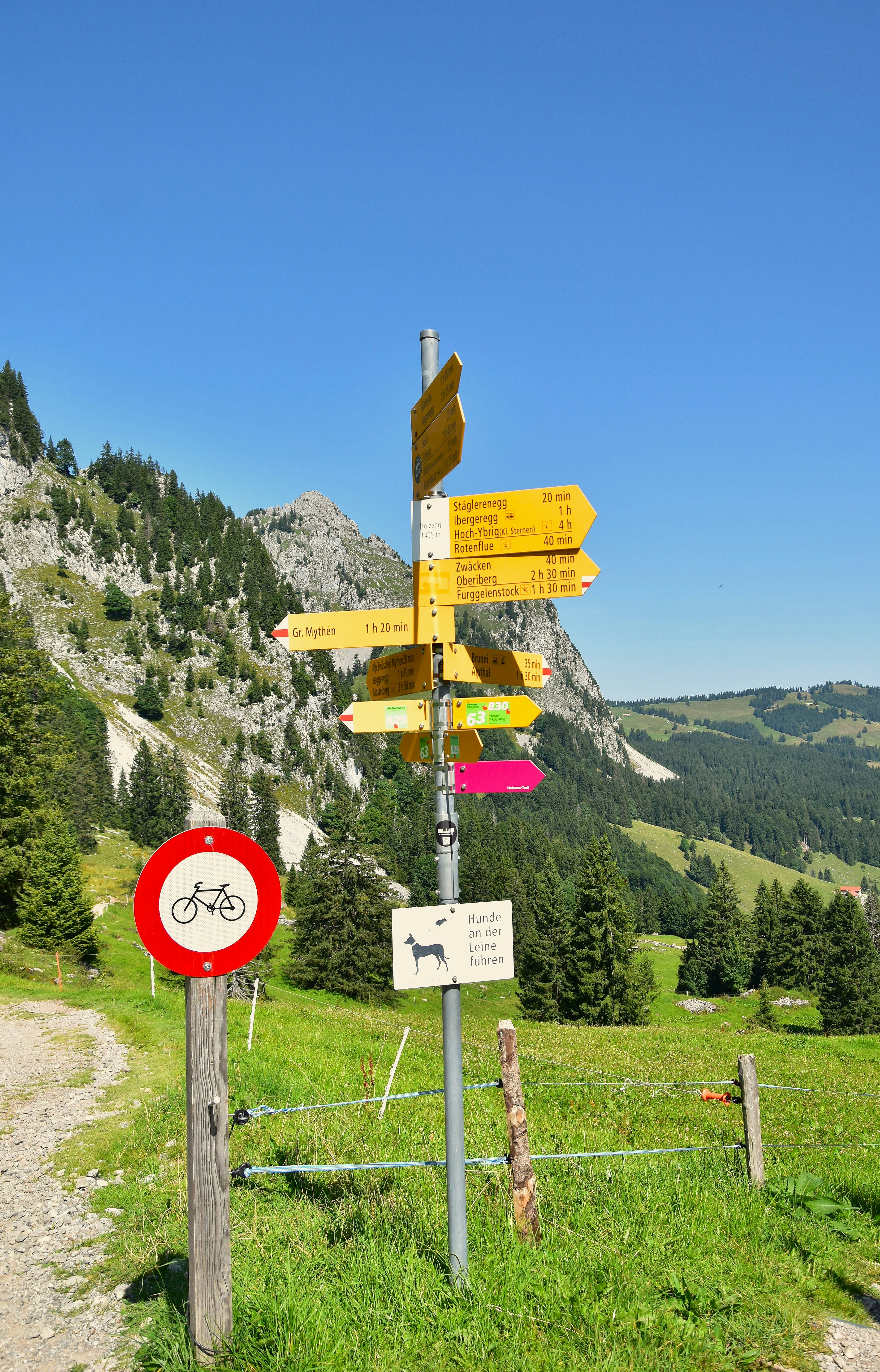 Photo by Sára Sedlmajerová with Nikon D3500