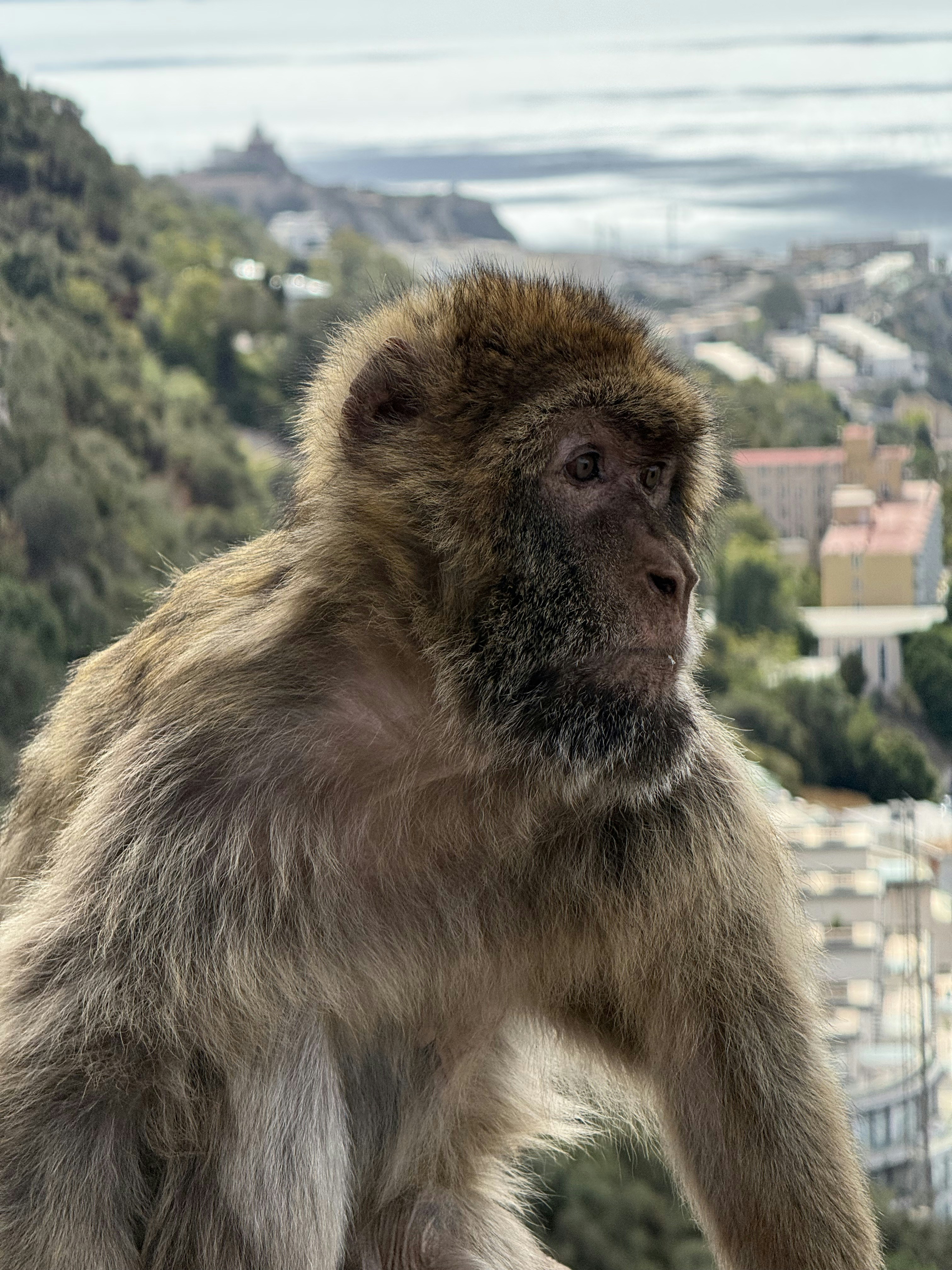 Logan Voss (@loganvoss) | Unsplash Photo Community