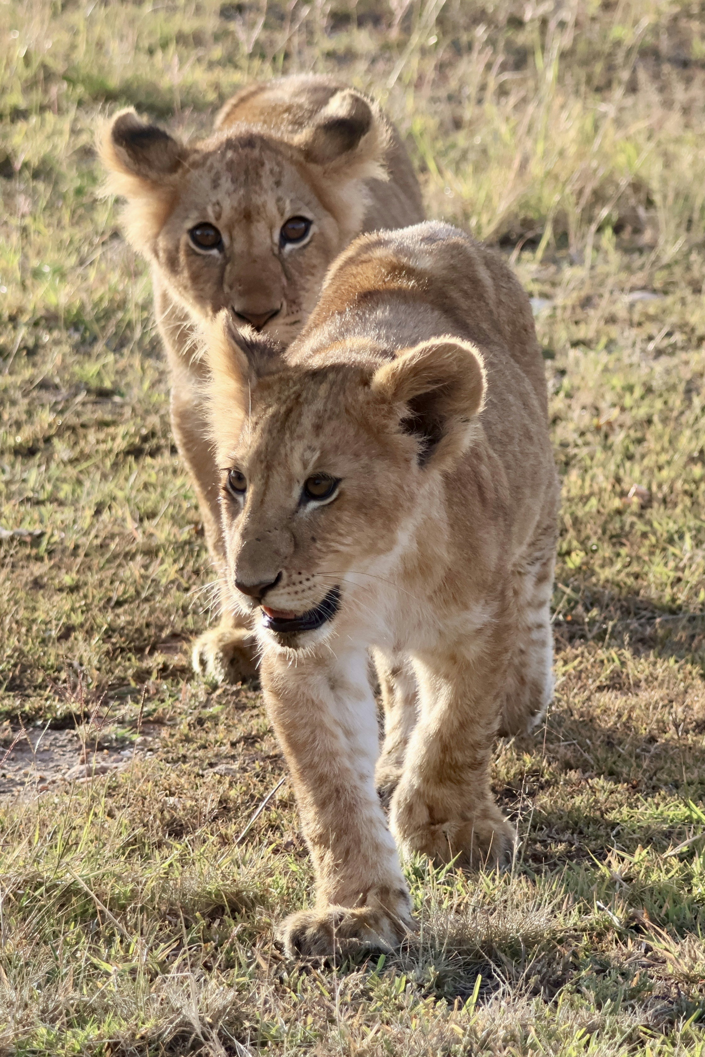 Photo by John Cameron with Canon EOS R10