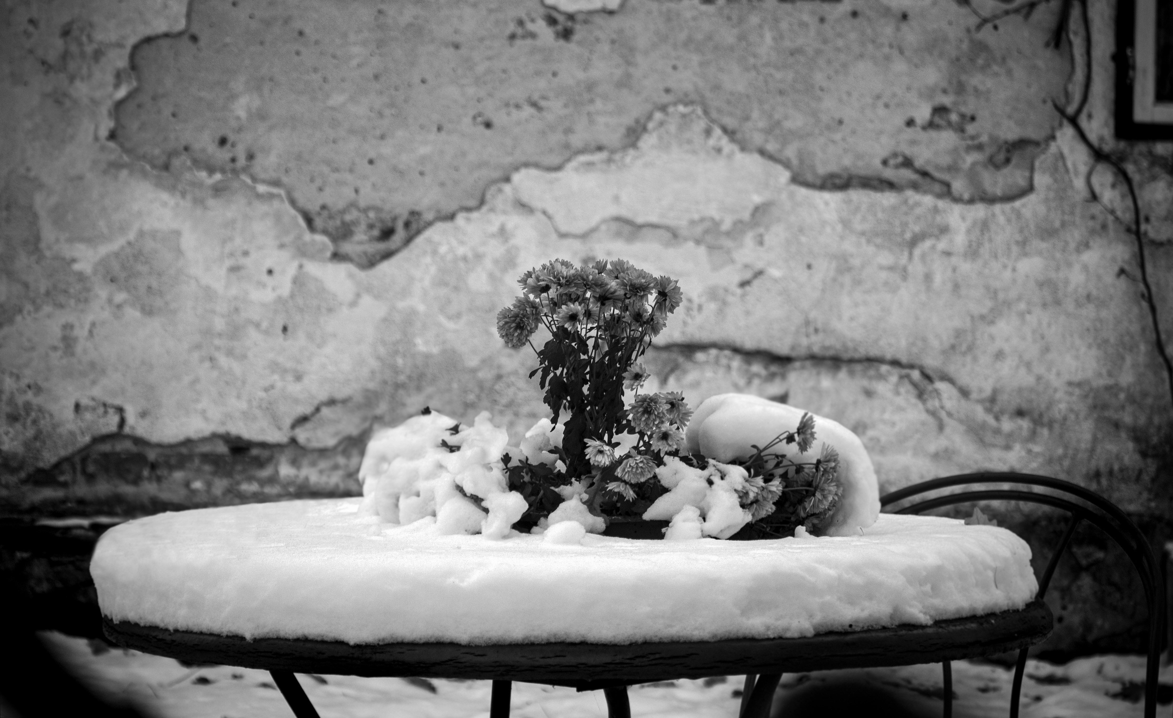 Photo by Zuzanna Kozik with Canon EOS 1300D