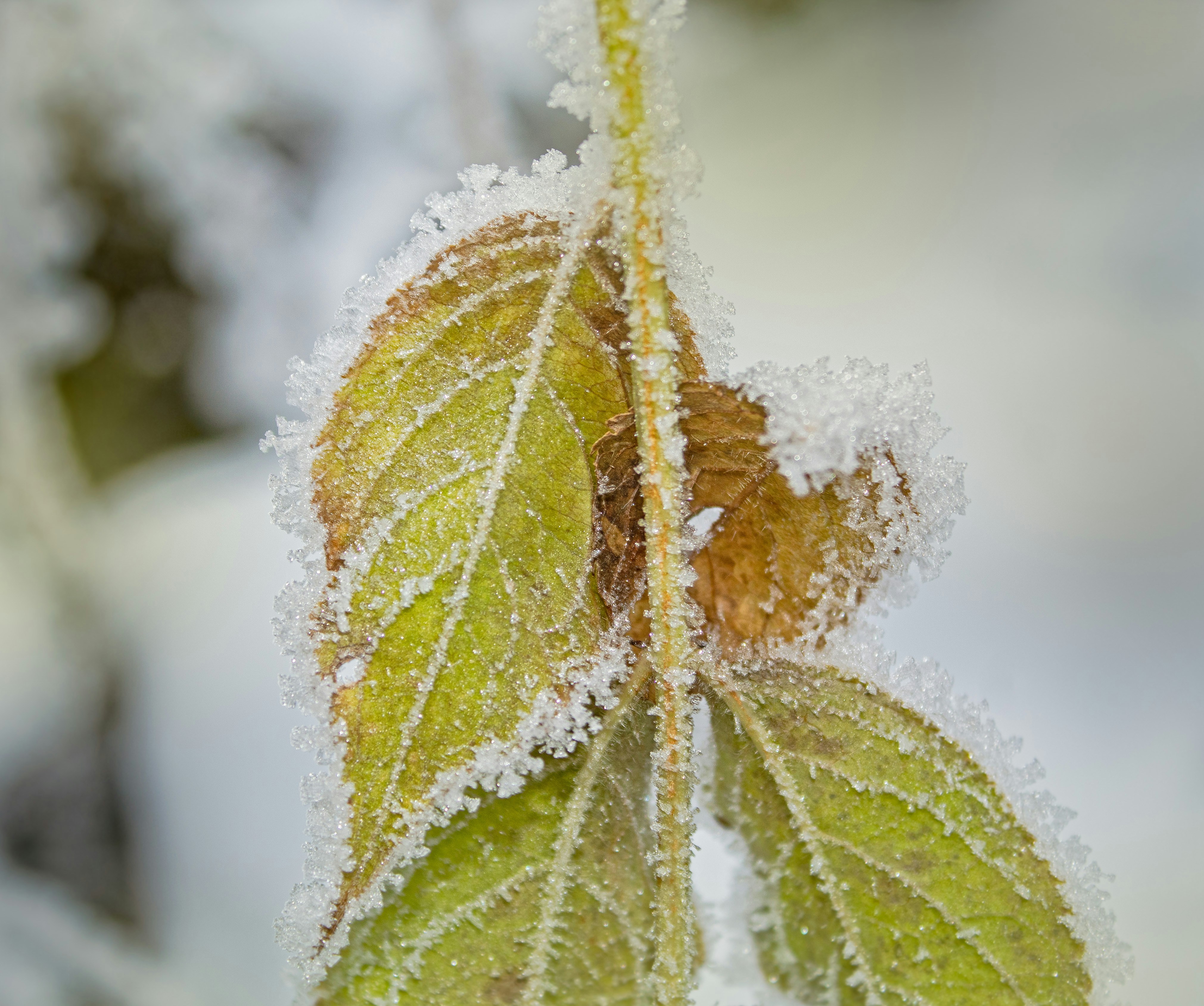 Photo by Zuzanna Kozik with Canon EOS 1300D