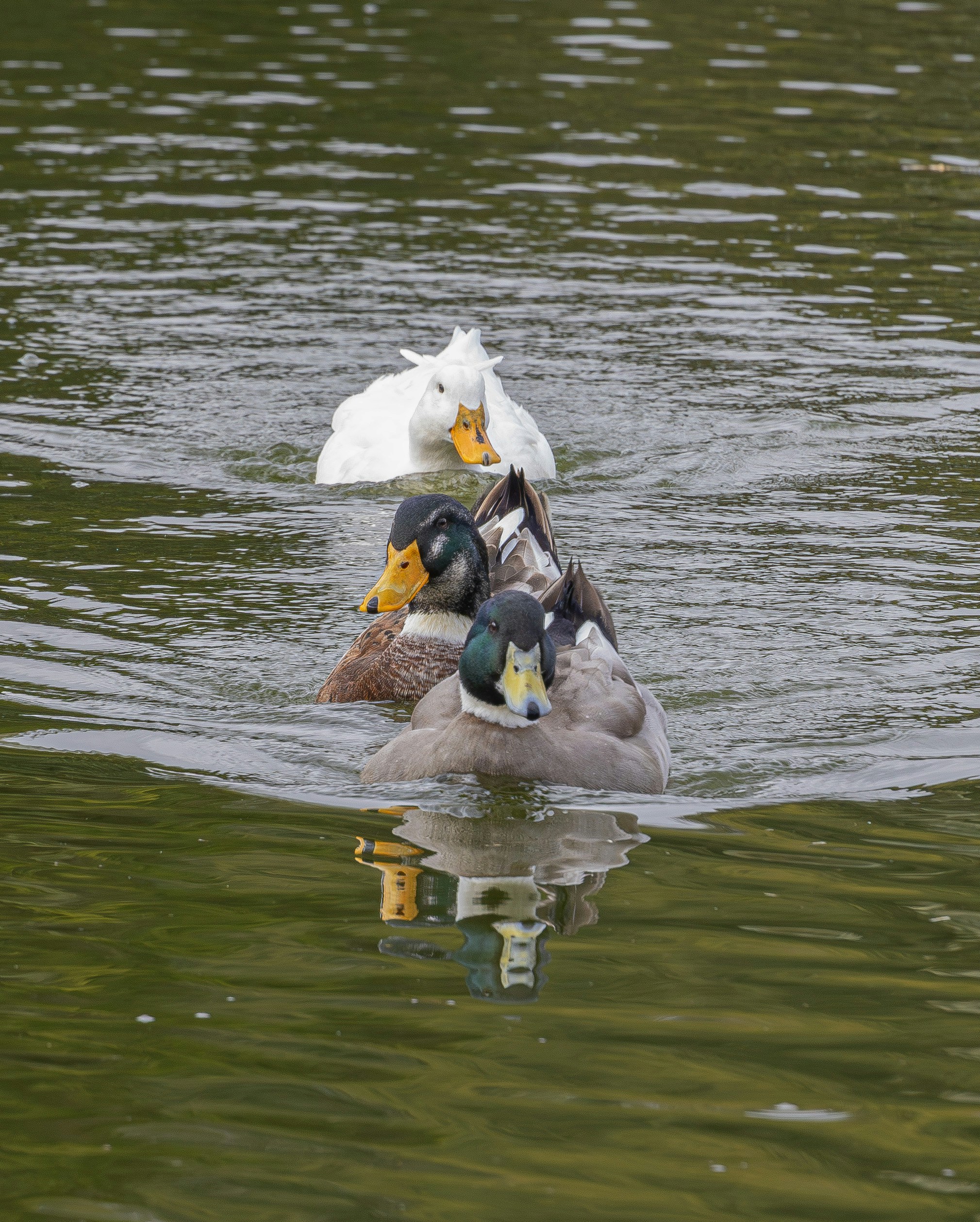 Photo by Alfonso Betancourt with Canon EOS R