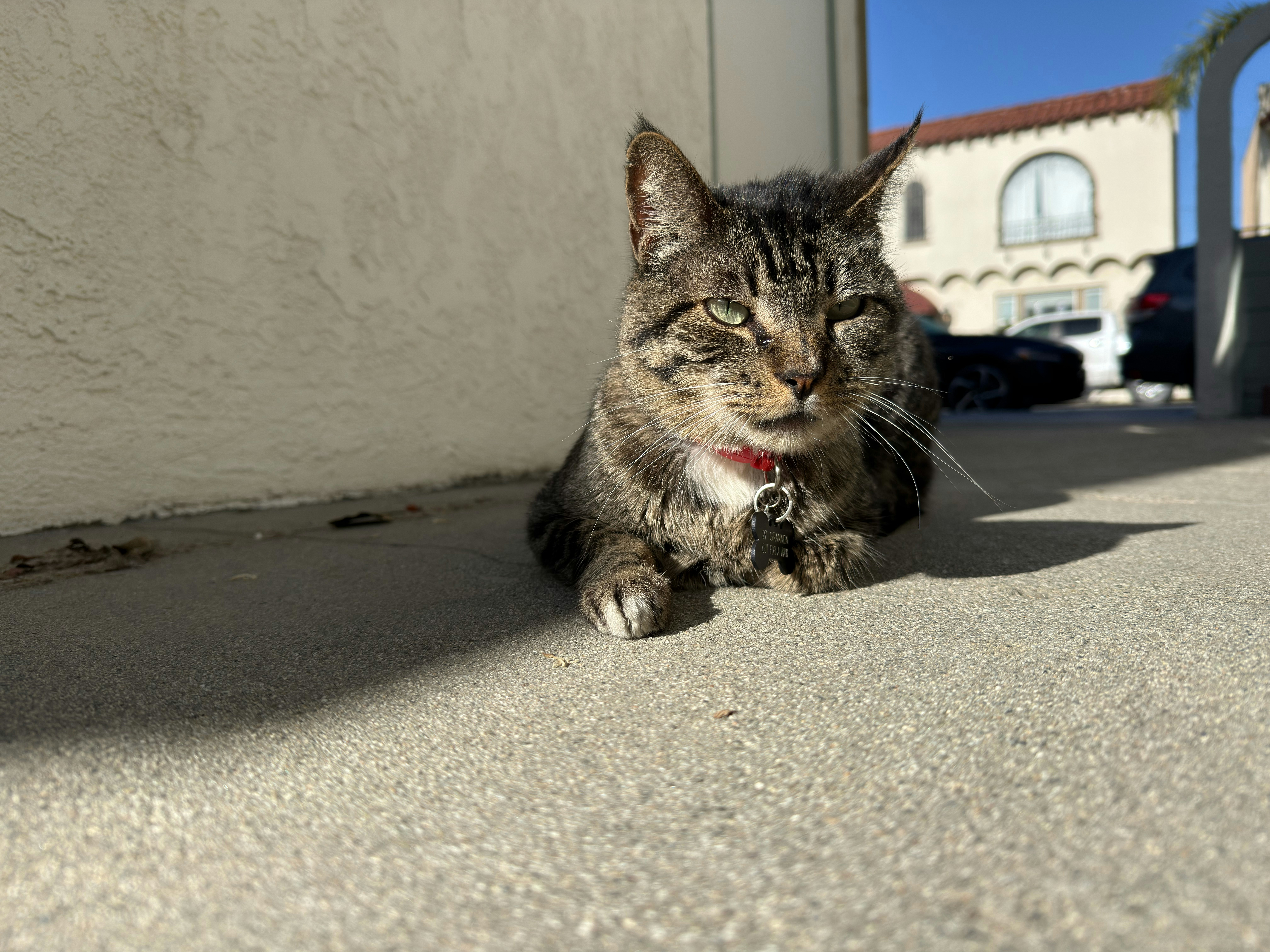 Logan Voss (@loganvoss) | Unsplash Photo Community