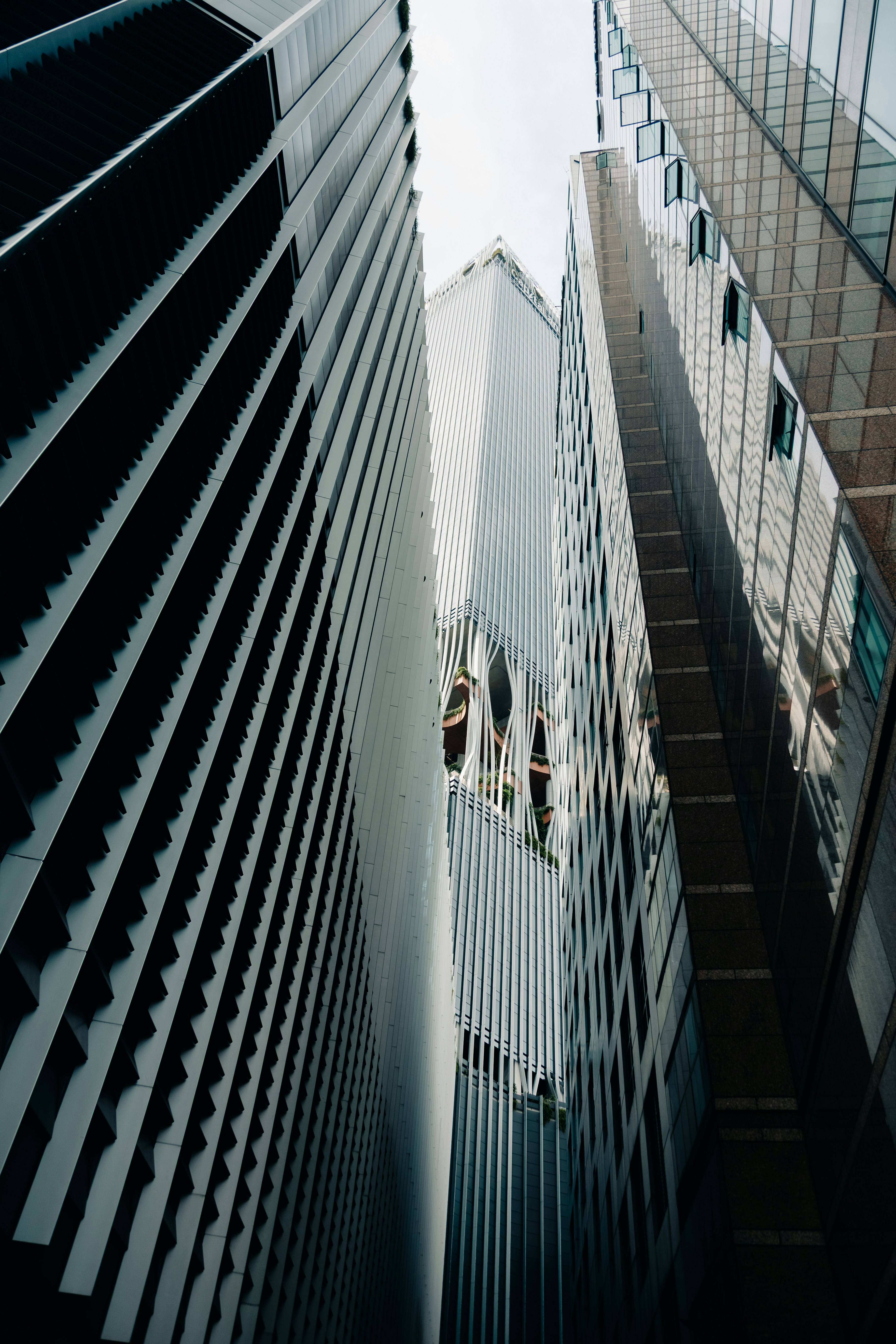 Photo by Klara Kulikova with Canon EOS 6D