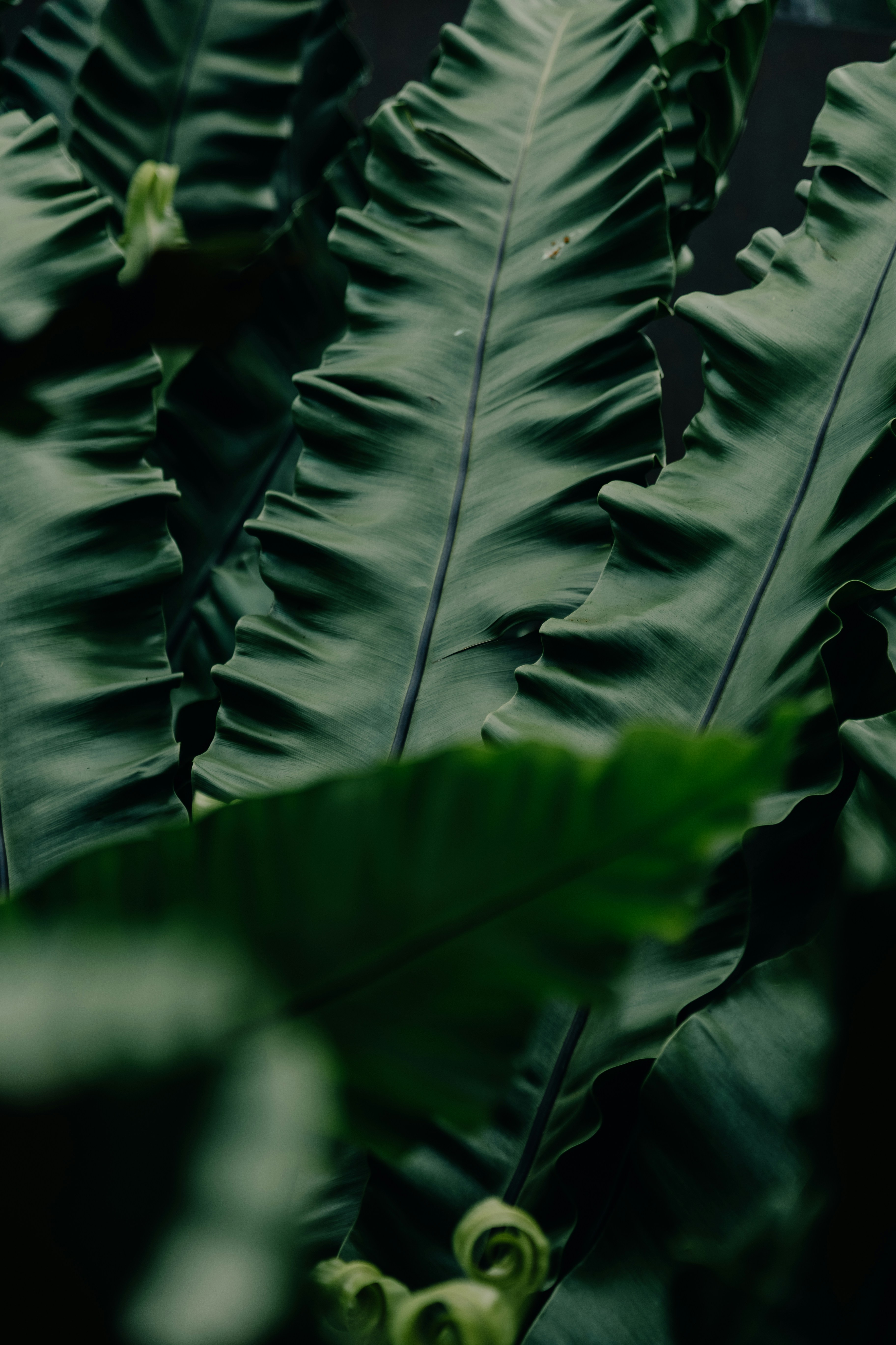 Photo by Klara Kulikova with Canon EOS 6D