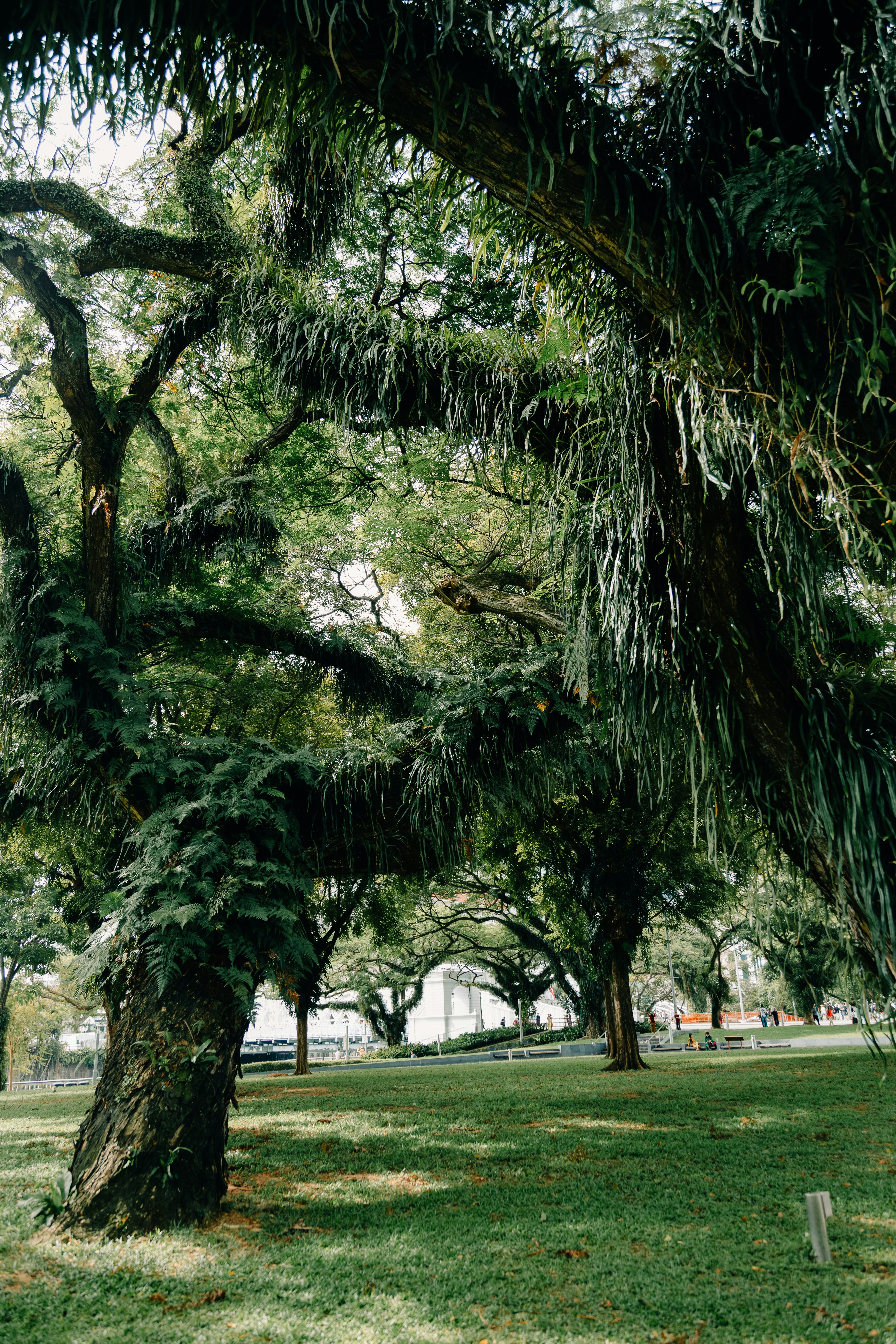 Photo by Klara Kulikova with Canon EOS 6D