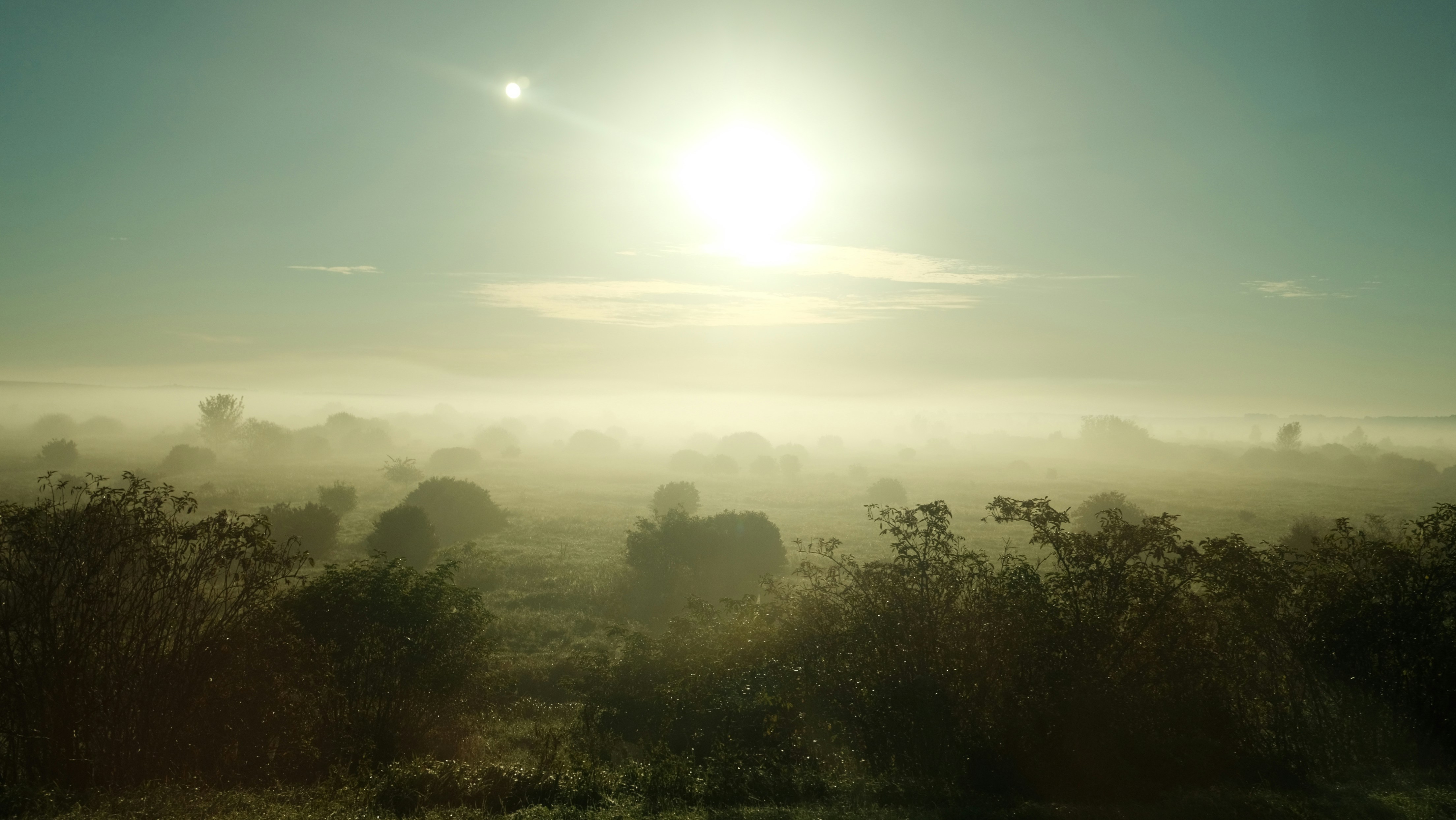 morning, sunrise, fog, mist, nature, landscape, ethereal, golden hour, dawn, field, meadow, sun, bright, tranquil, serene, summer, outdoors, peaceful, hazy, rural, environment, light, moody, beautiful, sunburst, sky, weather, dramatic, idyllic, natural light, warm, vibrant, picturesque, scenic, glow, silent, tranquility, earth, atmospheric, calm, dreamy, wide, horizon