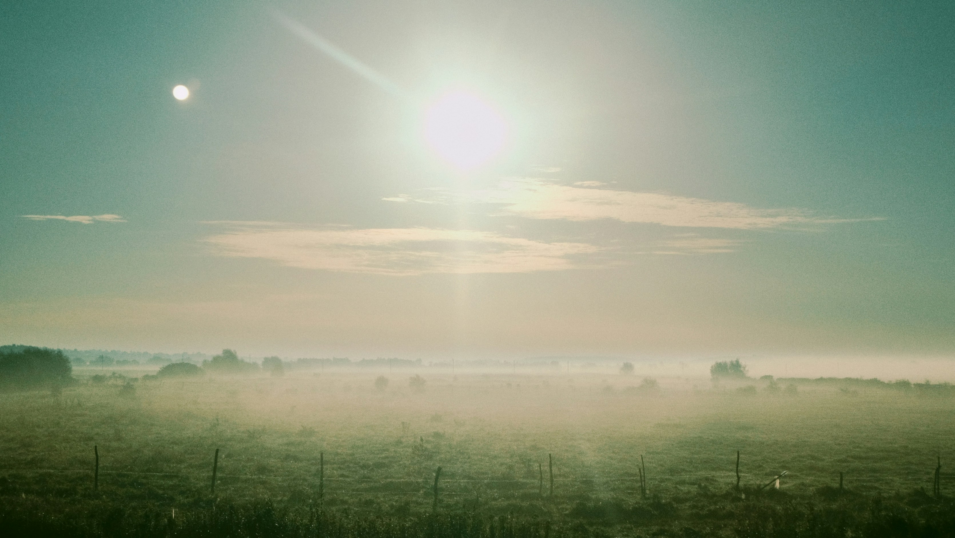 morning, sunrise, fog, mist, nature, landscape, ethereal, golden hour, dawn, field, meadow, sun, bright, tranquil, serene, summer, outdoors, peaceful, hazy, rural, environment, light, moody, beautiful, sunburst, sky, weather, dramatic, idyllic, natural light, warm, vibrant, picturesque, scenic, glow, silent, tranquility, earth, atmospheric, calm, dreamy, wide, horizon