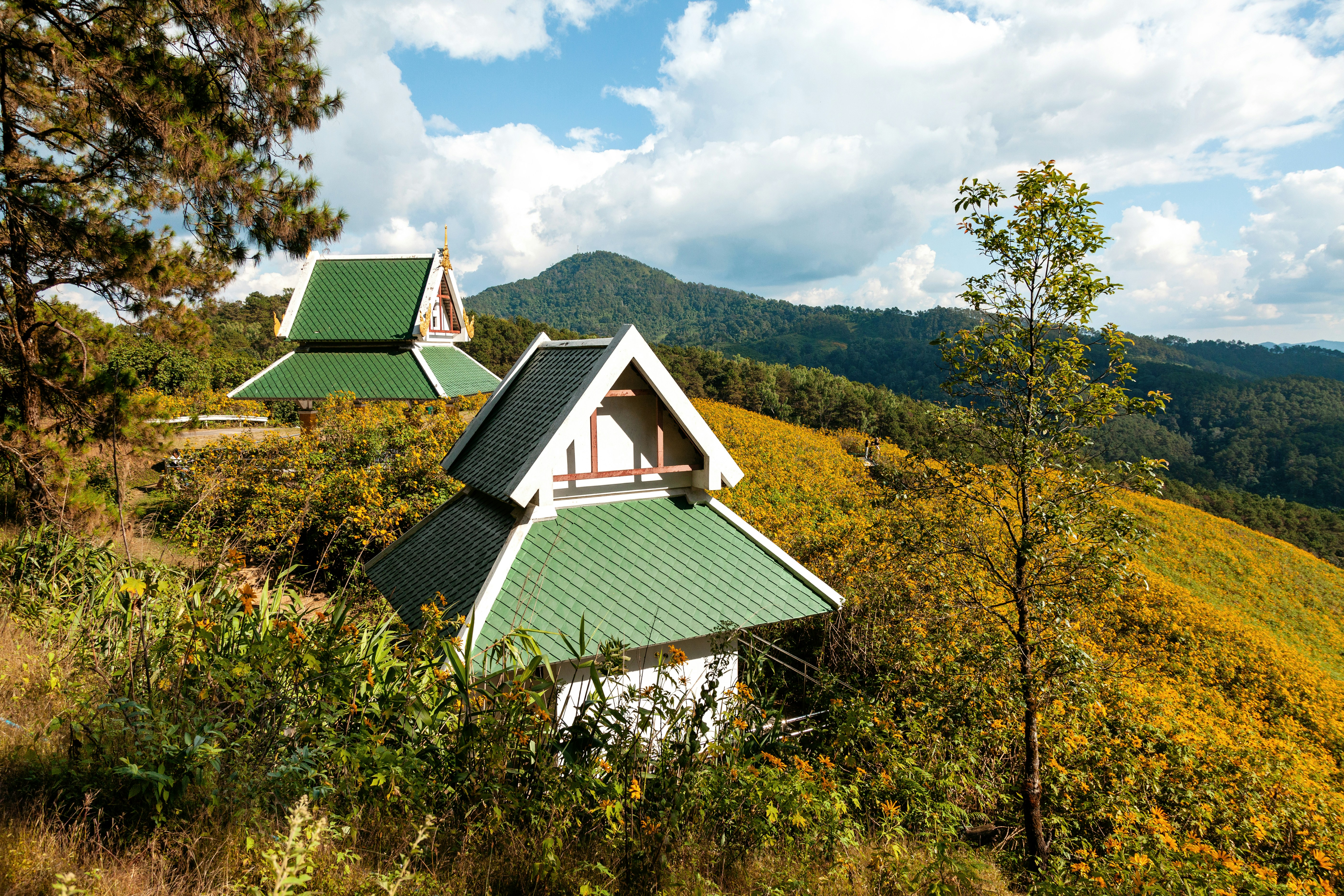 Green-roofed cottages amid golden hillside under blue sky