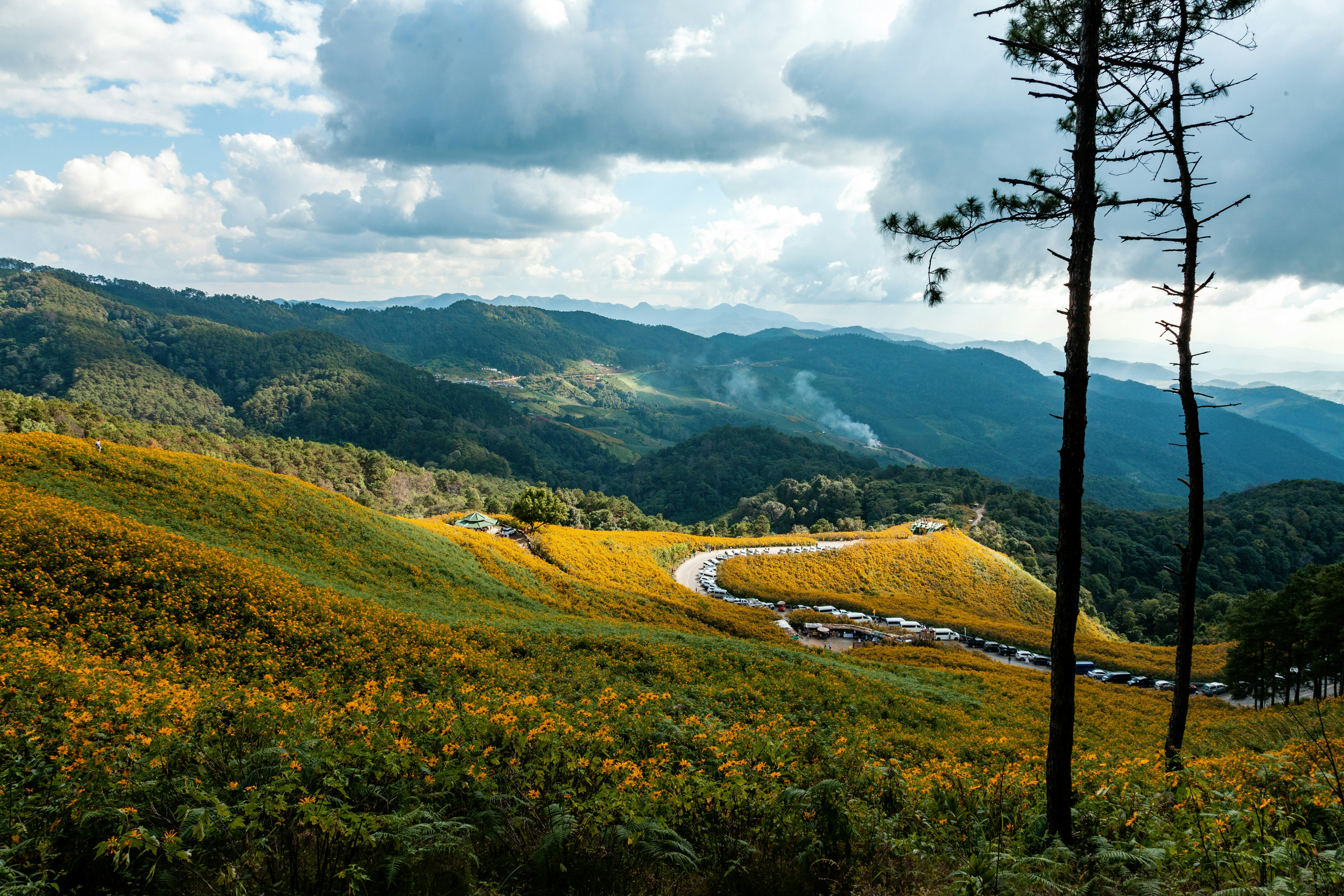 Photo by Rowan Heuvel with Canon EOS 5D Mark II