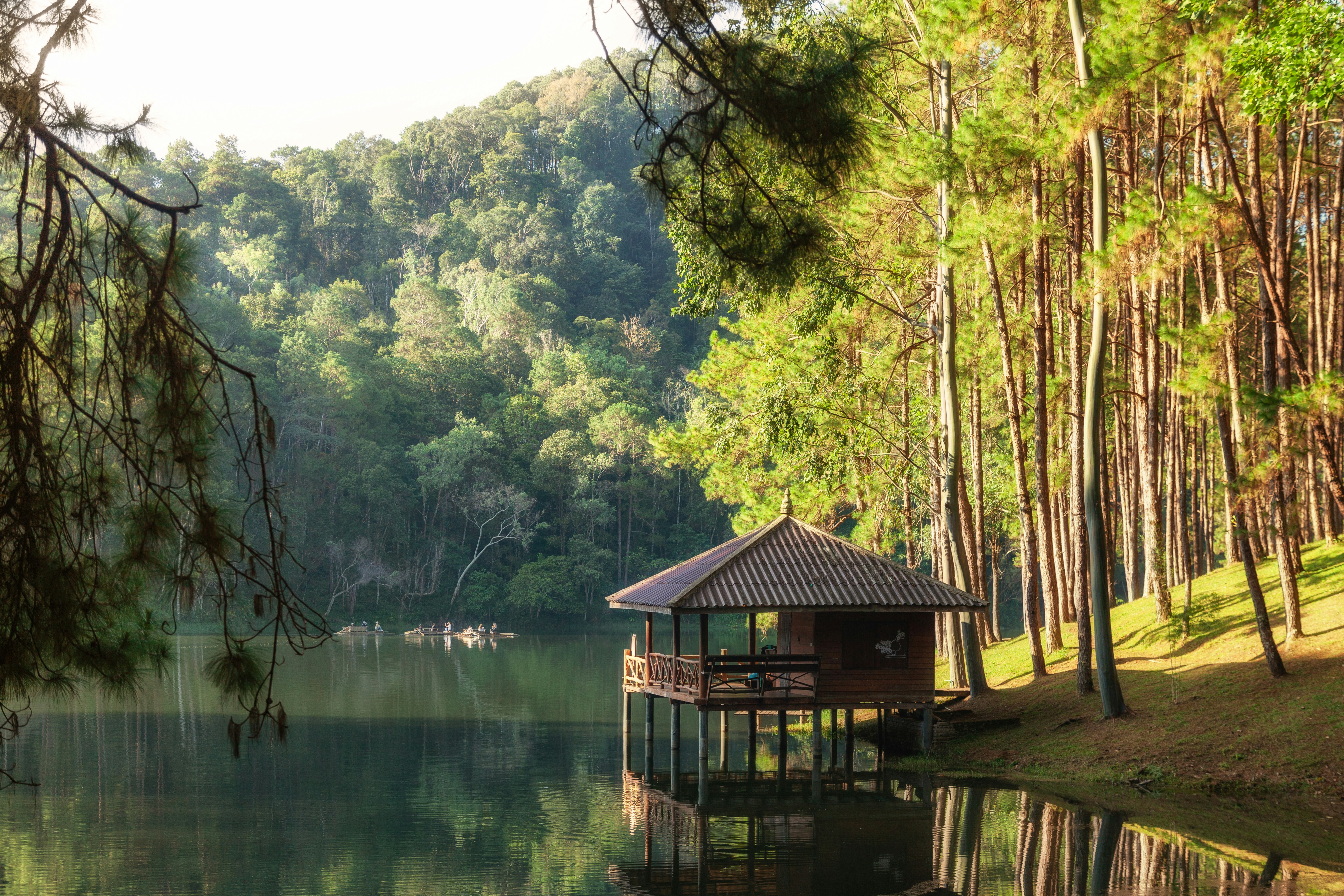 Photo by Rowan Heuvel with Canon EOS 5D Mark II