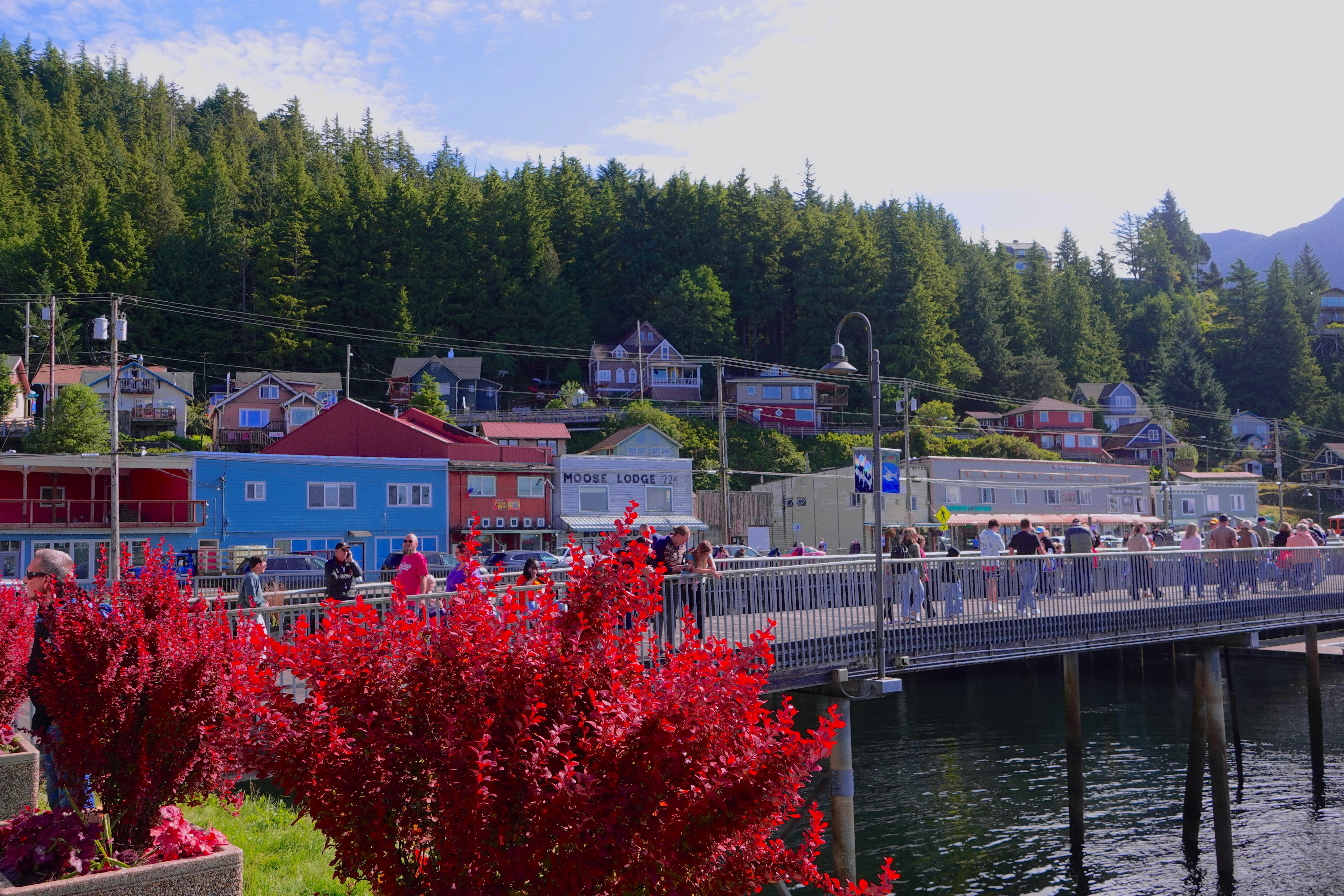 Colorful waterfront town along a wooden pier, with bright red flowering bush in the foreground and a forested hillside backdrop.