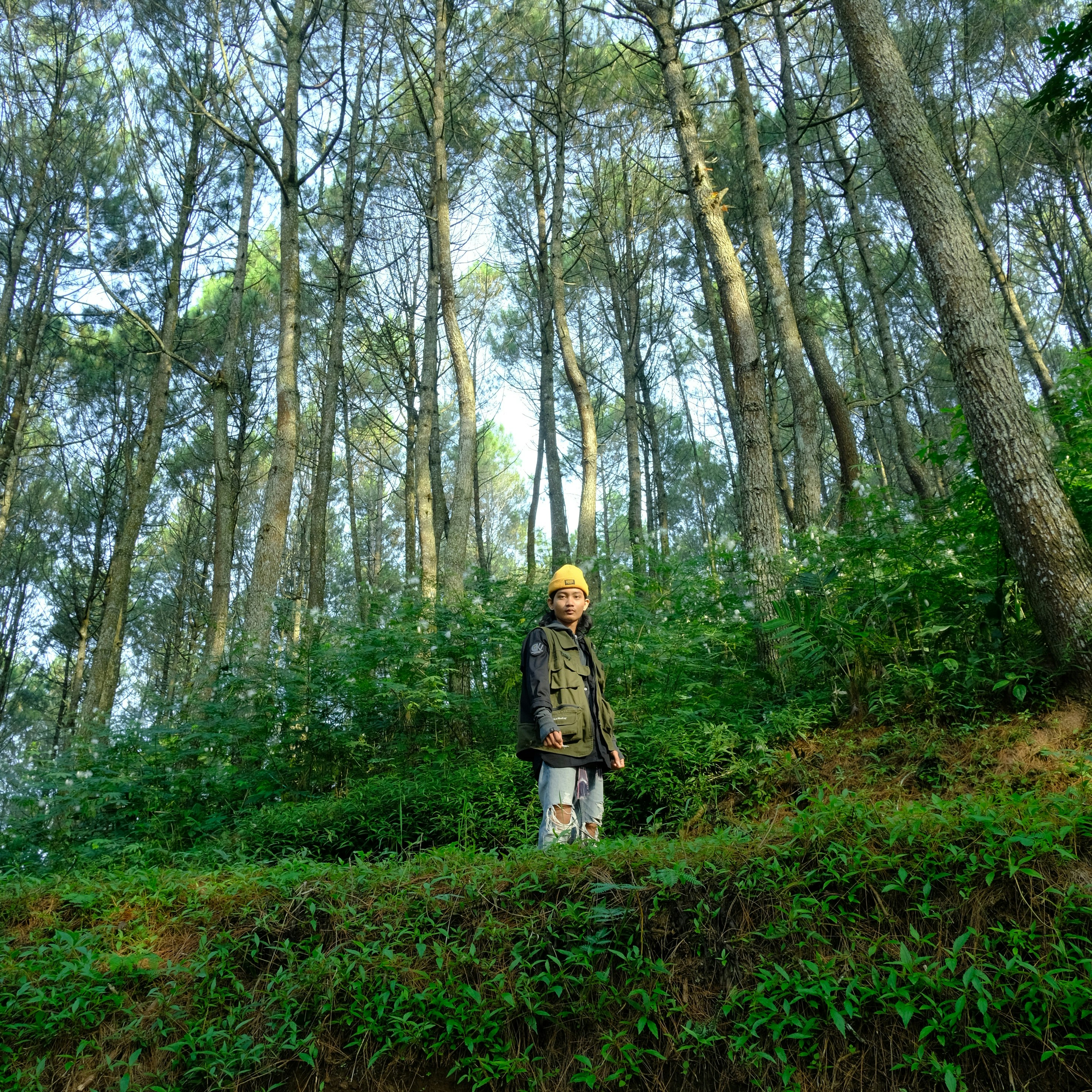 Forest Explorer in Morning Light