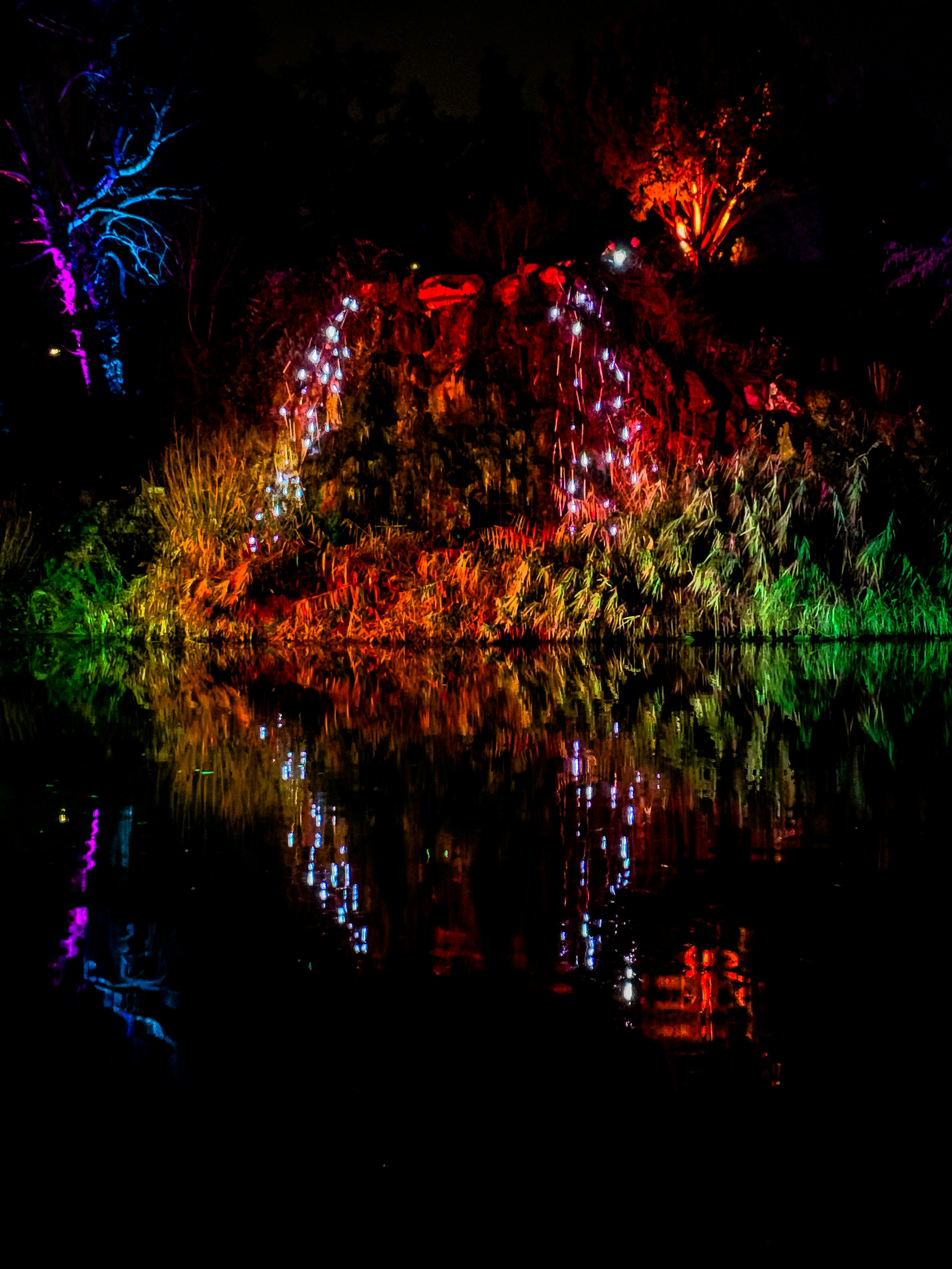 Photo by Bernd 📷 Dittrich with Apple iPhone 12 Pro