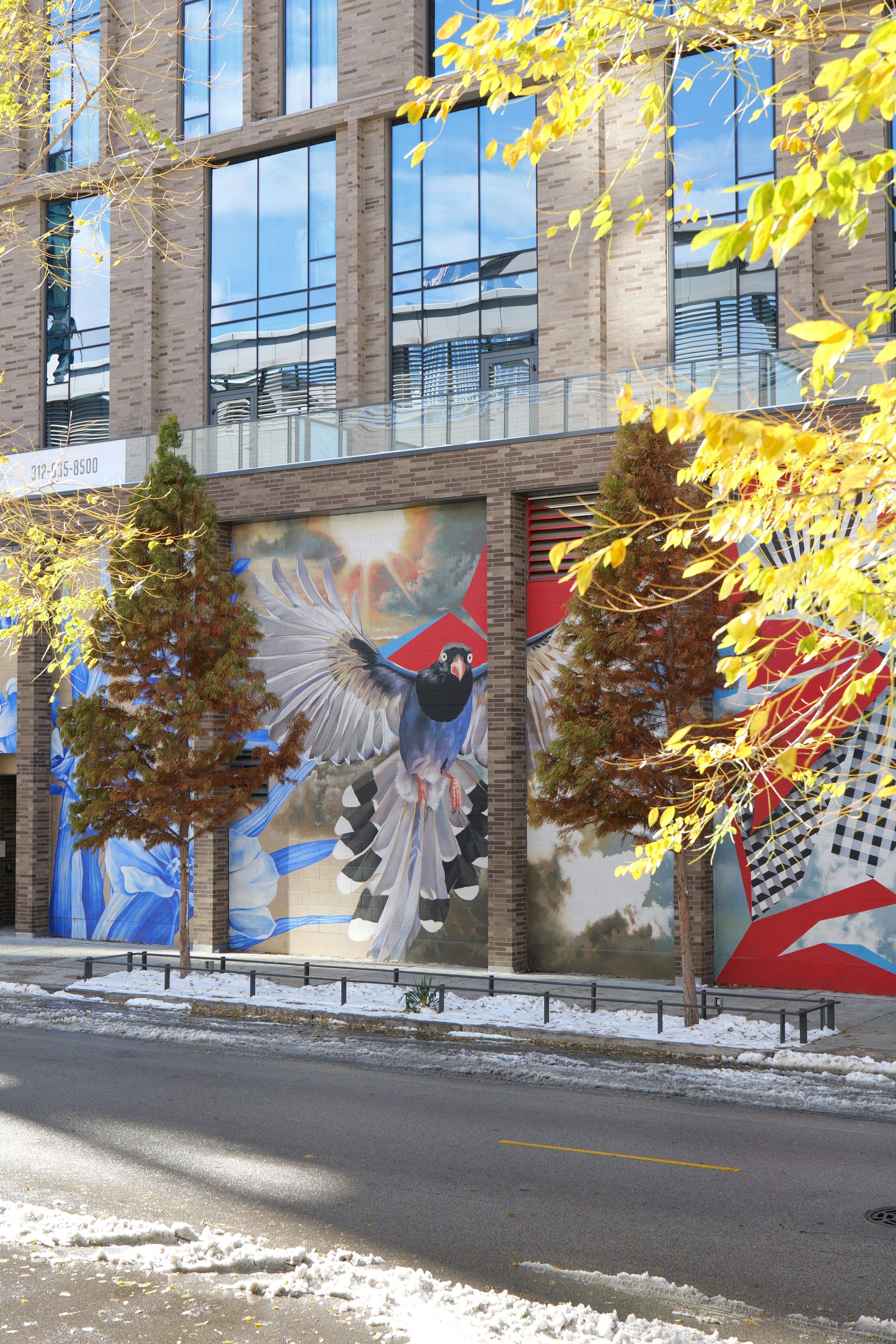 Bird mural on urban facade framed by gold-leaved trees
