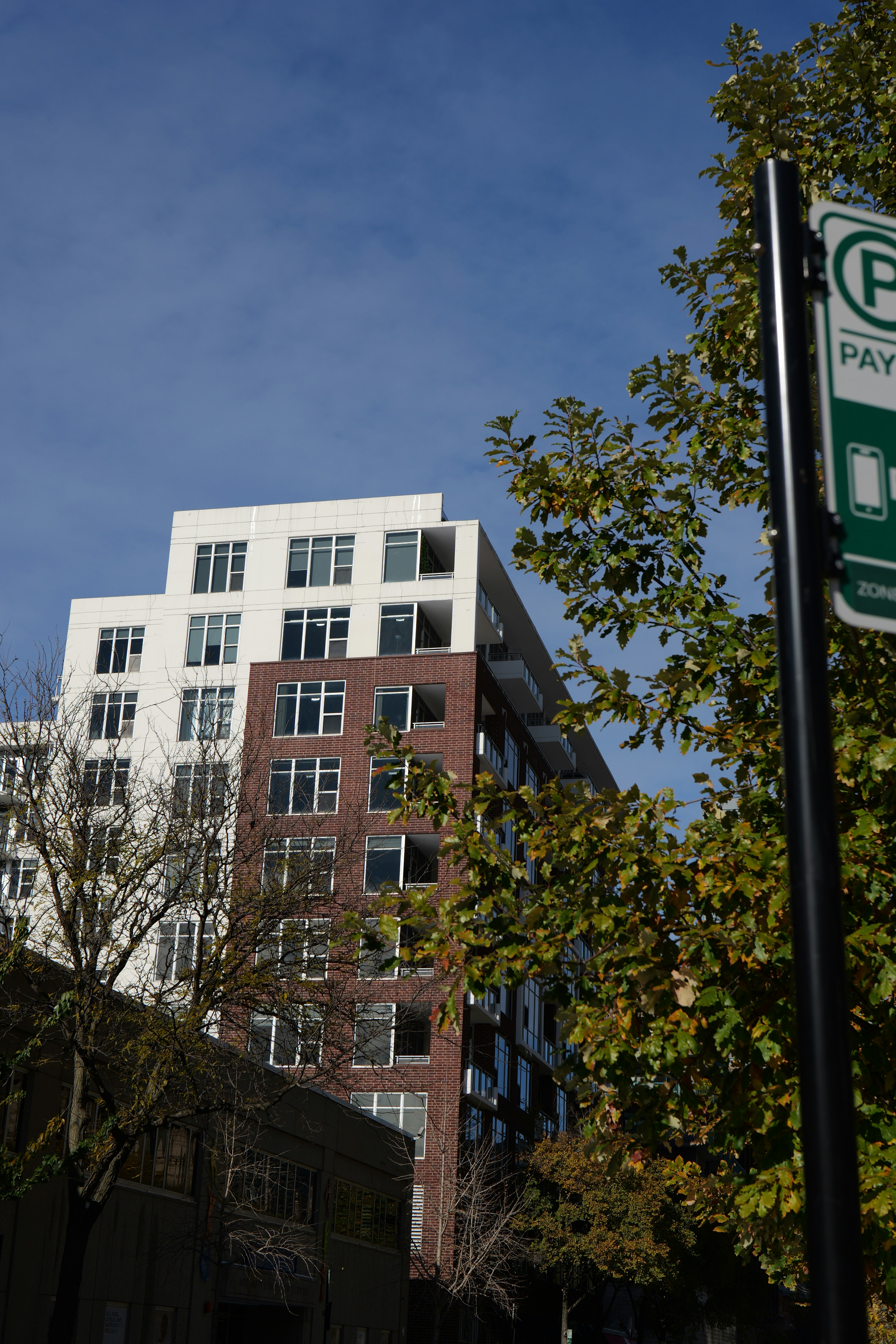 Photo by Genesis Media with Panasonic Lumix S9