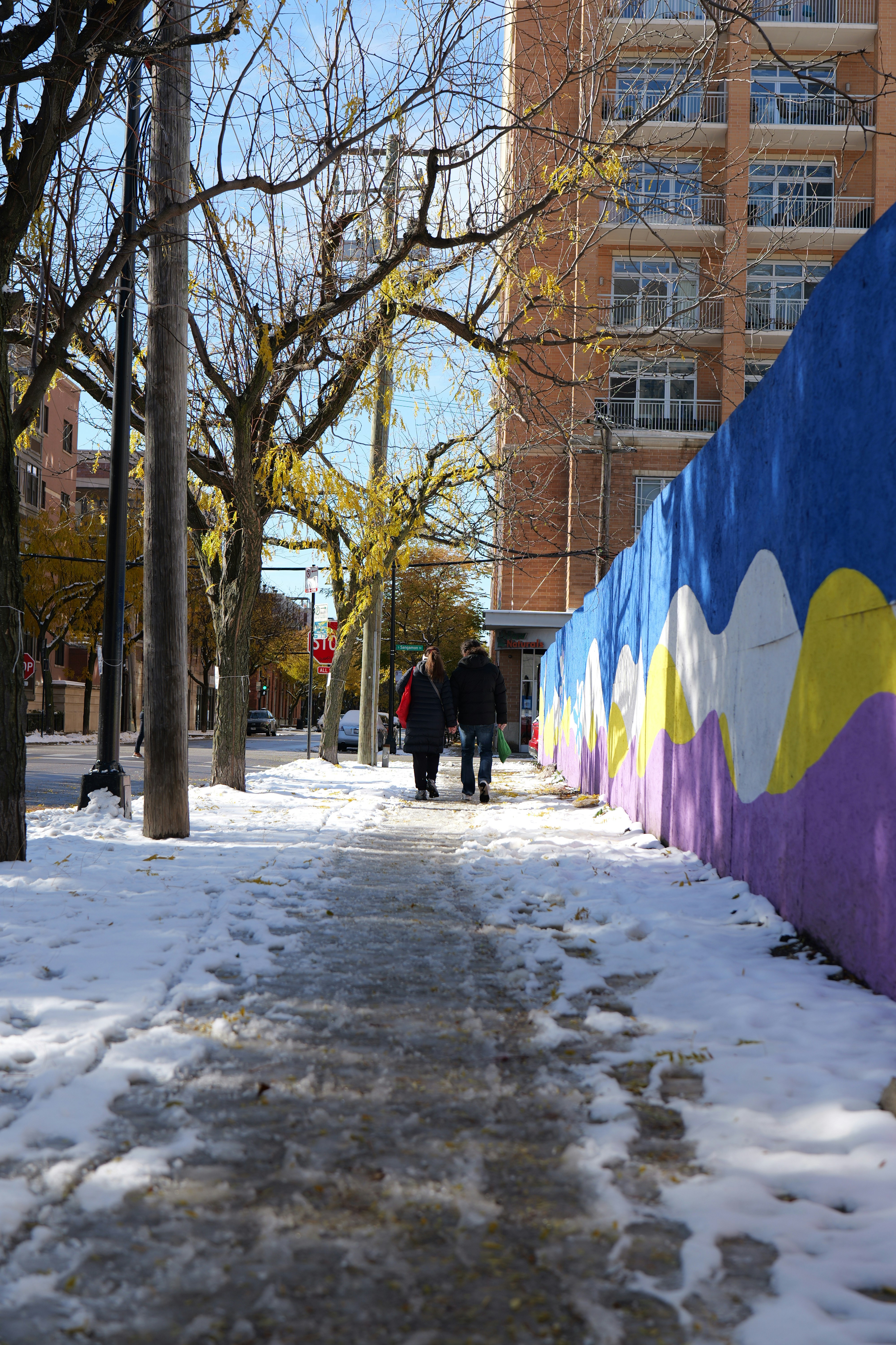 Snowy urban avenue passes between a mural wall and leafless trees