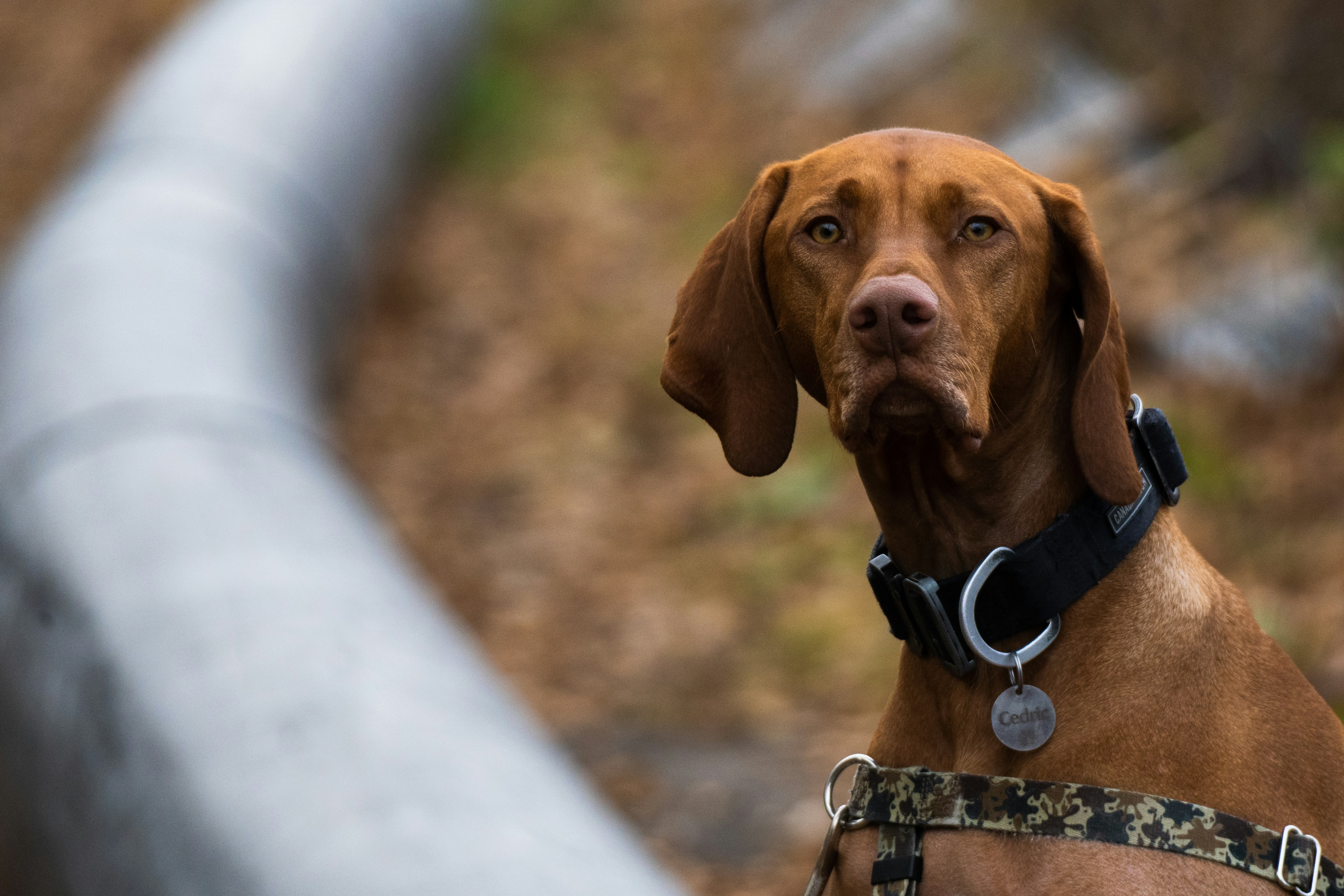 Photo by Zack Otto with Sony Alpha 6400