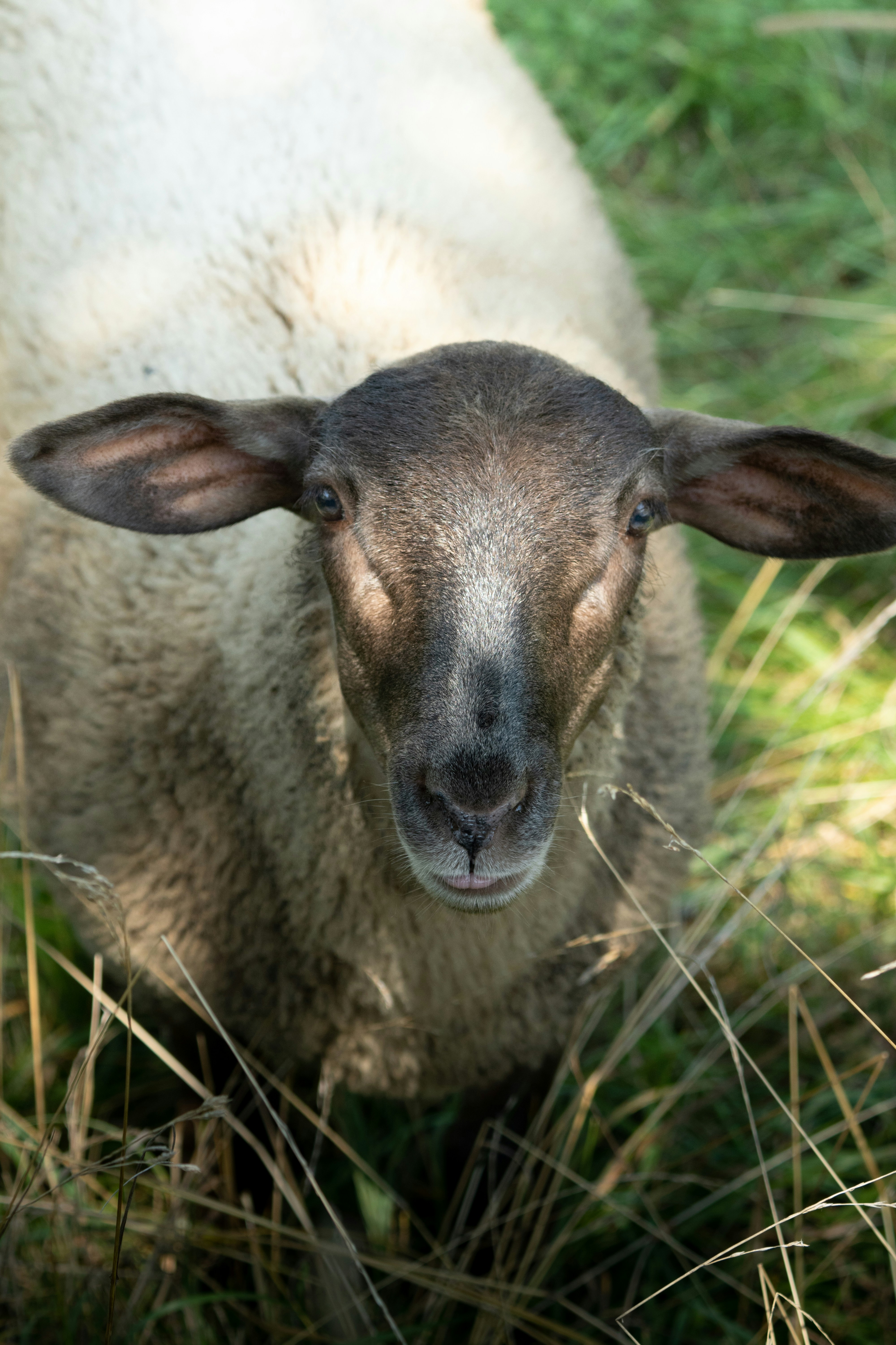 Photo by Zack Otto with Sony Alpha 6400