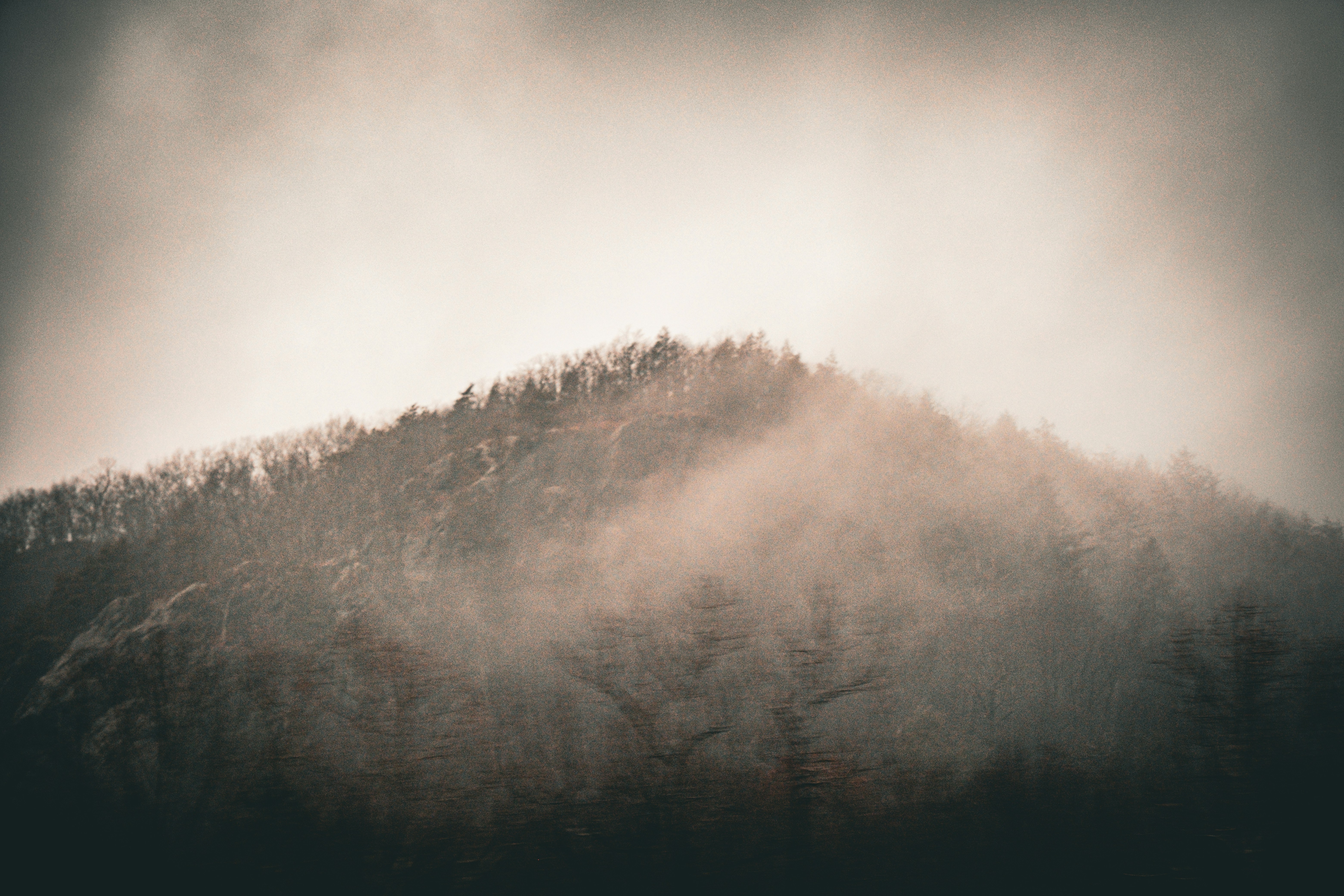 Mist-Laced Ridge Above a Quiet Forest
