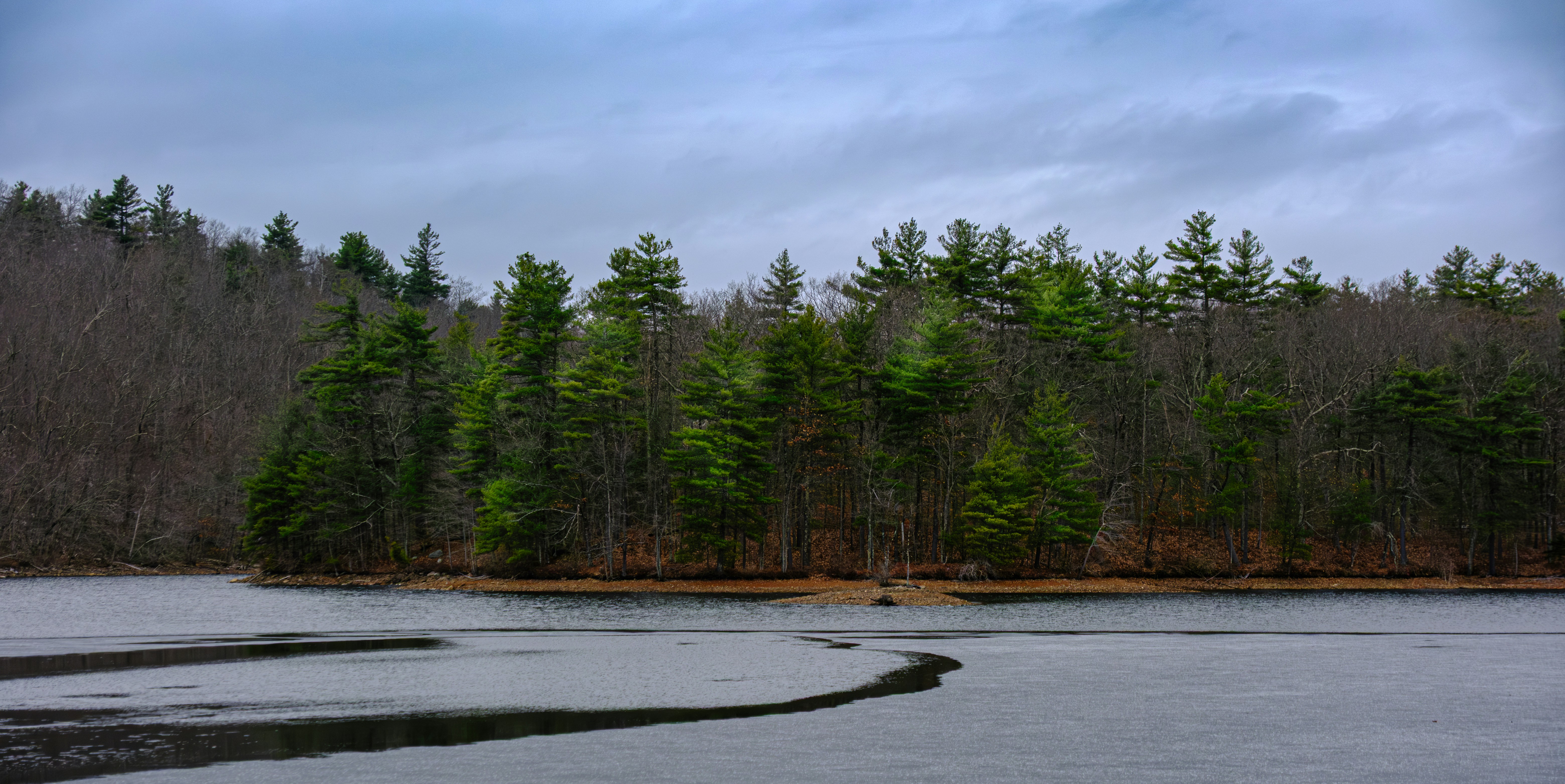 Pine trees and bare trees across a partially frozen lake in new england