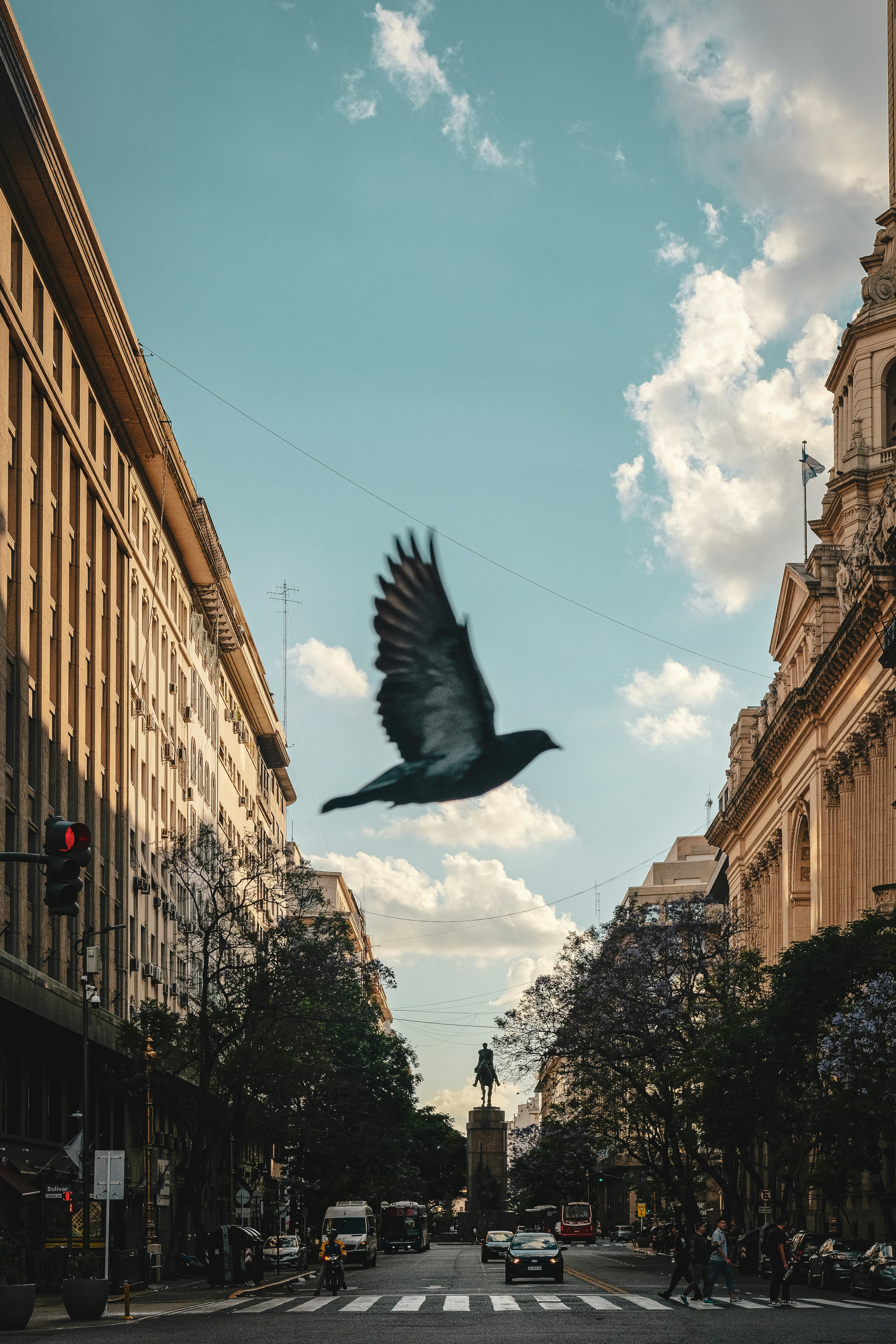 Urban Flight: A Crow Crosses a Sunlit City Boulevard