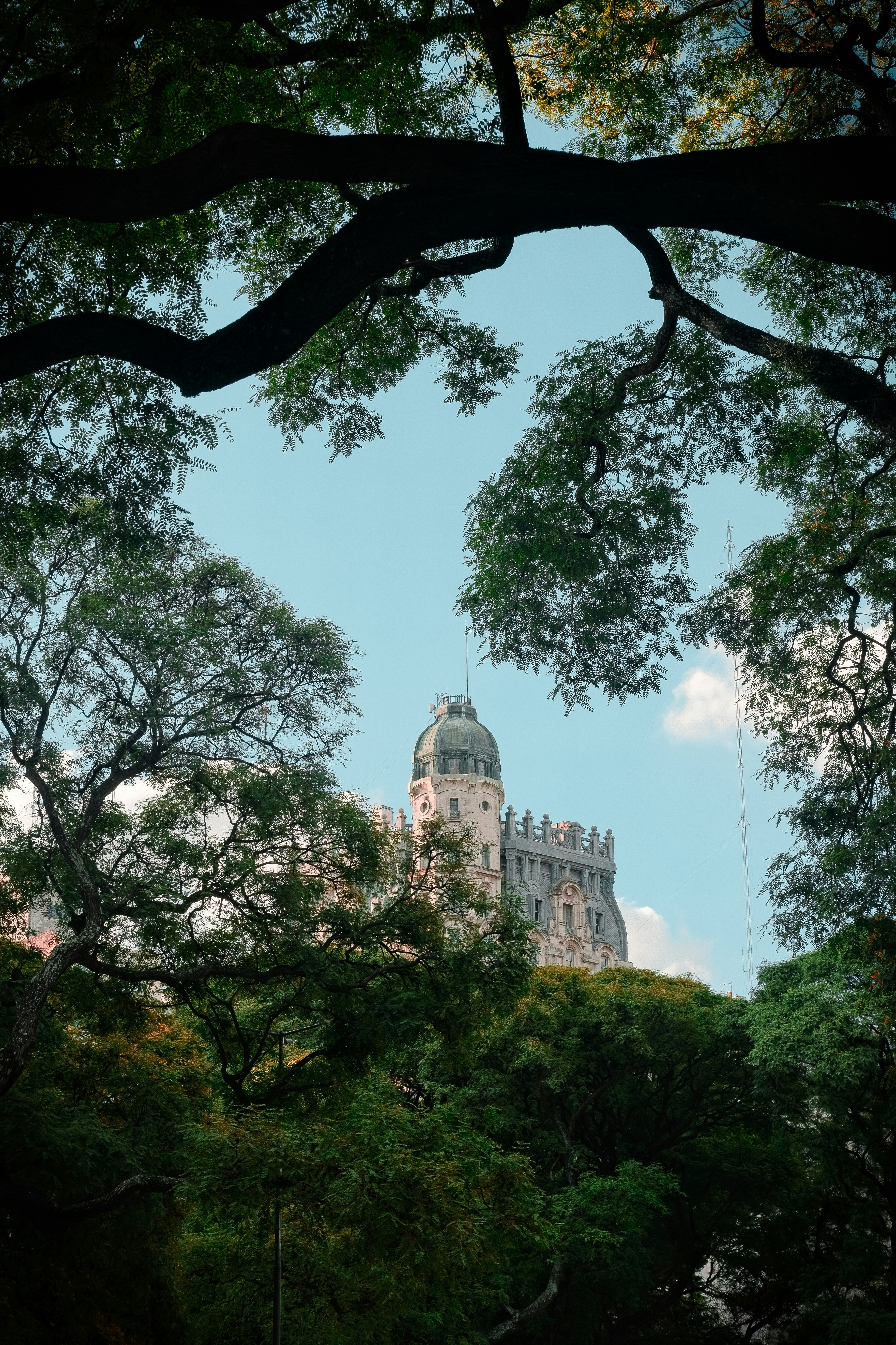 Castle in the Canopy: A Tower Peeks Through the Green Roof