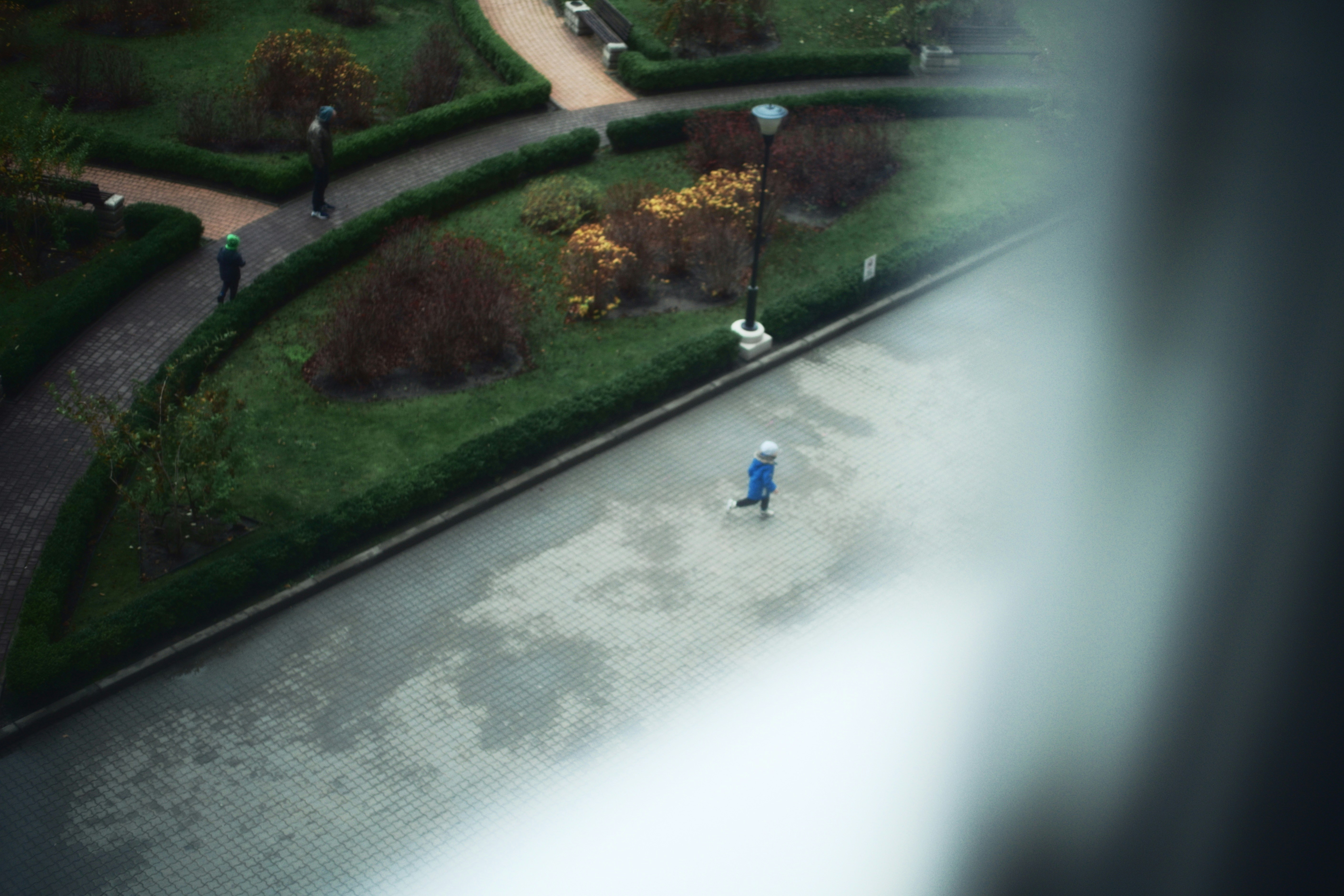 A high-angle view captures a neat, formal park or garden below, likely taken from a window. The focus is on a paved pathway and a landscaped lawn with neatly trimmed hedges and small patches of autumnal foliage. A tiny figure, possibly a child, in a bright blue outfit and a light hat, is walking on the wet, paved area in the middle ground, adding a solitary splash of color to the greens and browns. The scene is partially framed by a bright, blurry surface in the bottom right corner.