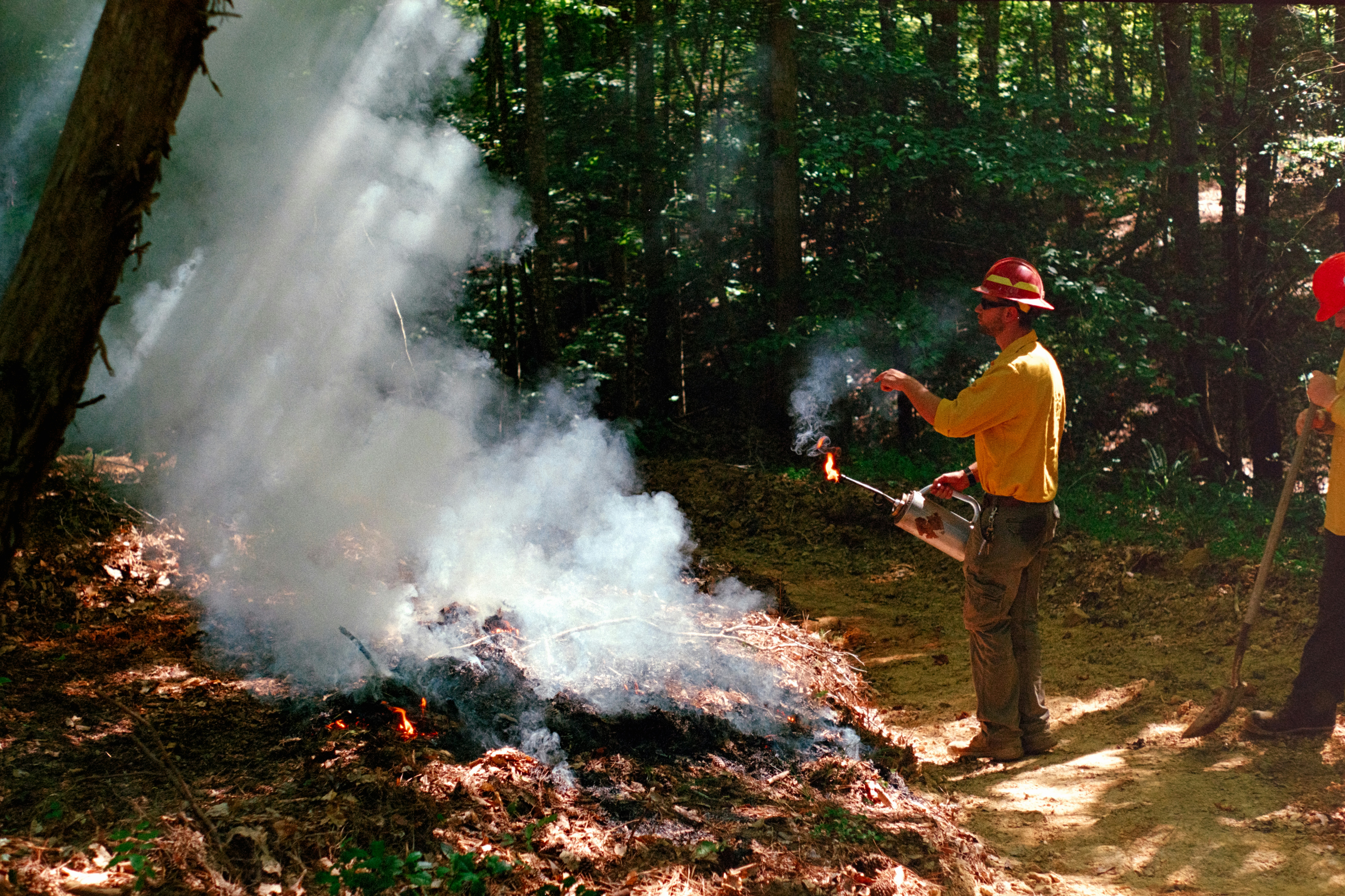 Photo by Erik Morales with Sony Alpha 1