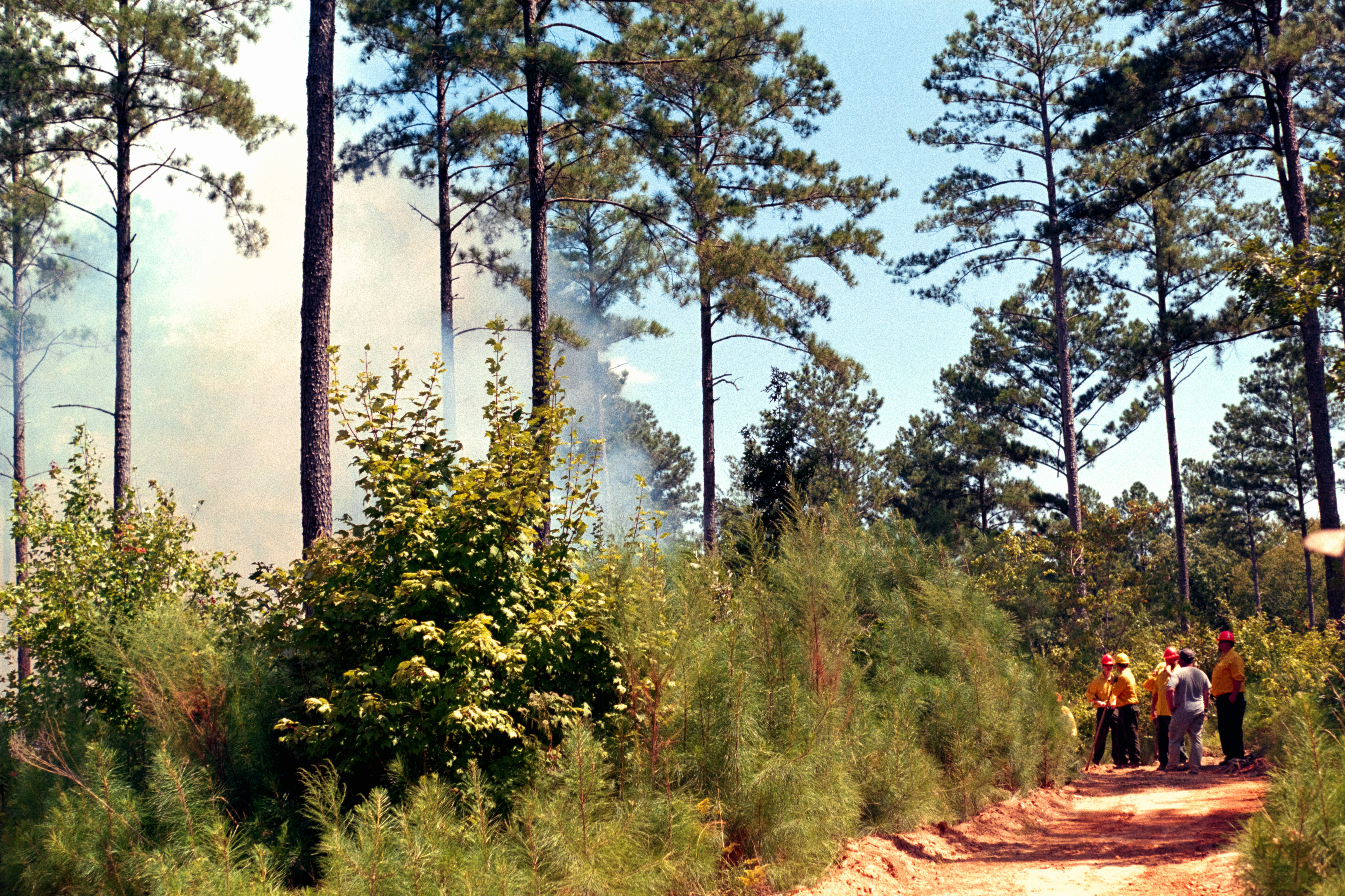 Photo by Erik Morales with Sony Alpha 1