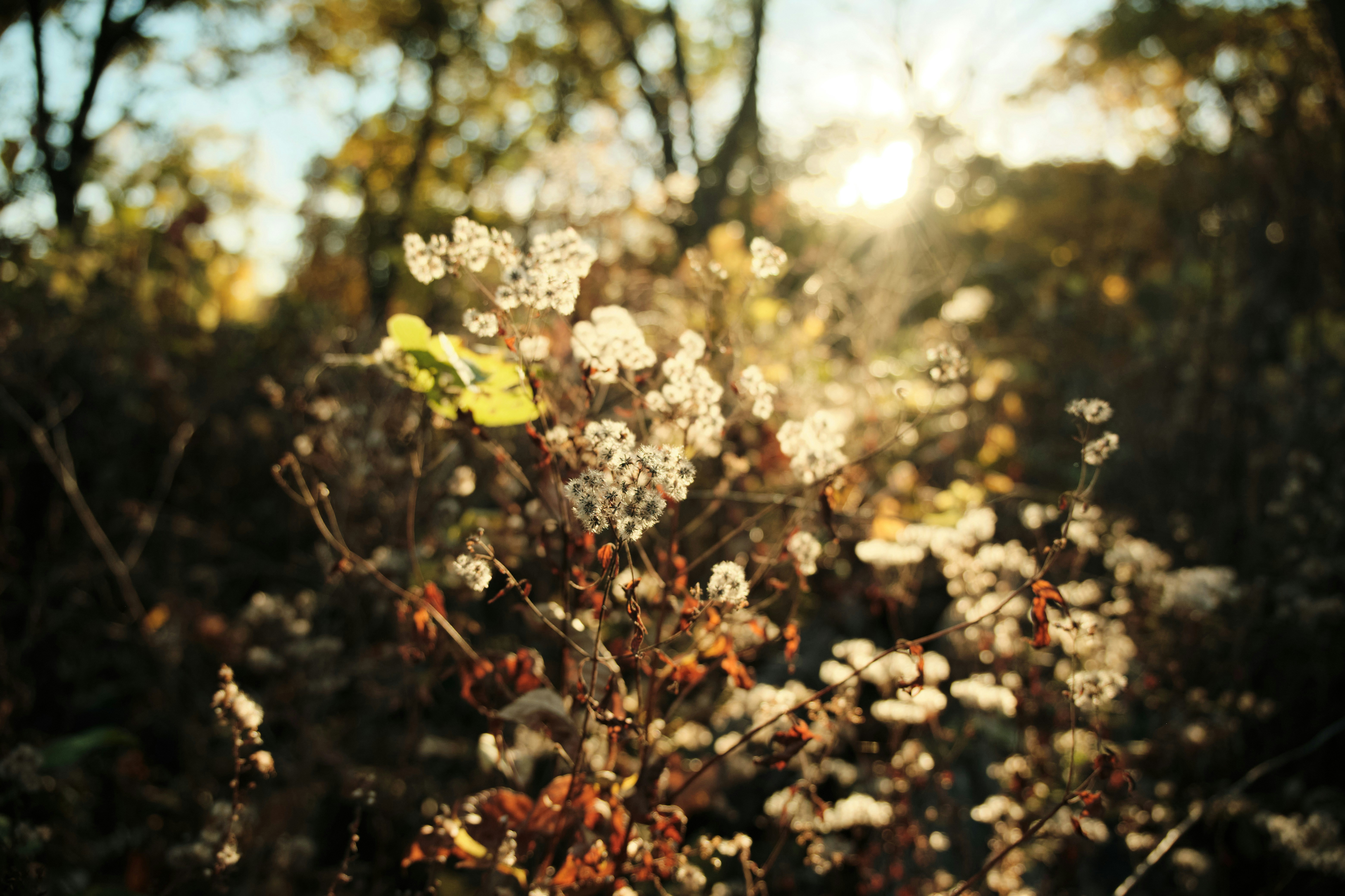 Photo by Joel Heaps with Fujifilm X-T4