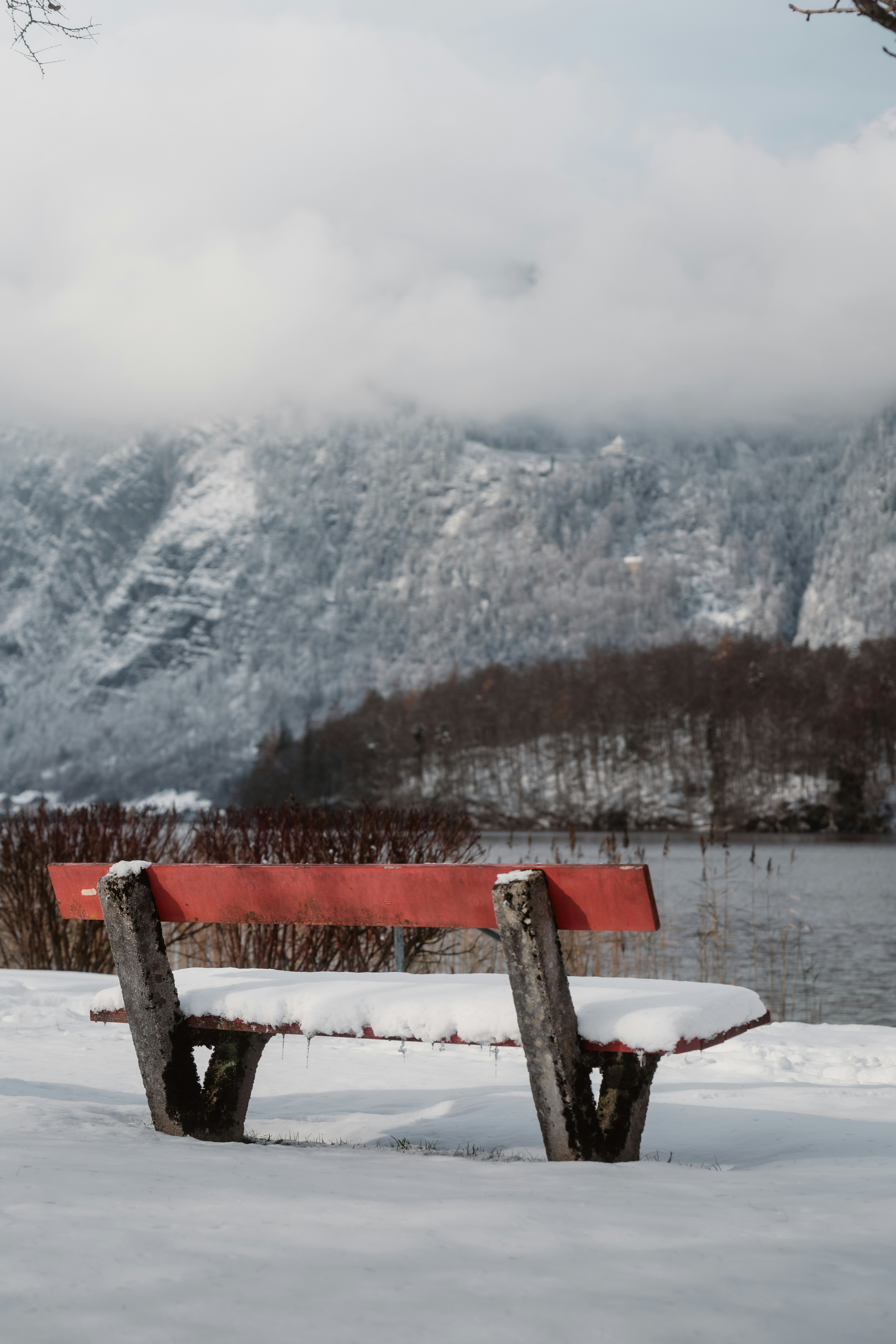 Red Bench in Winter Silence