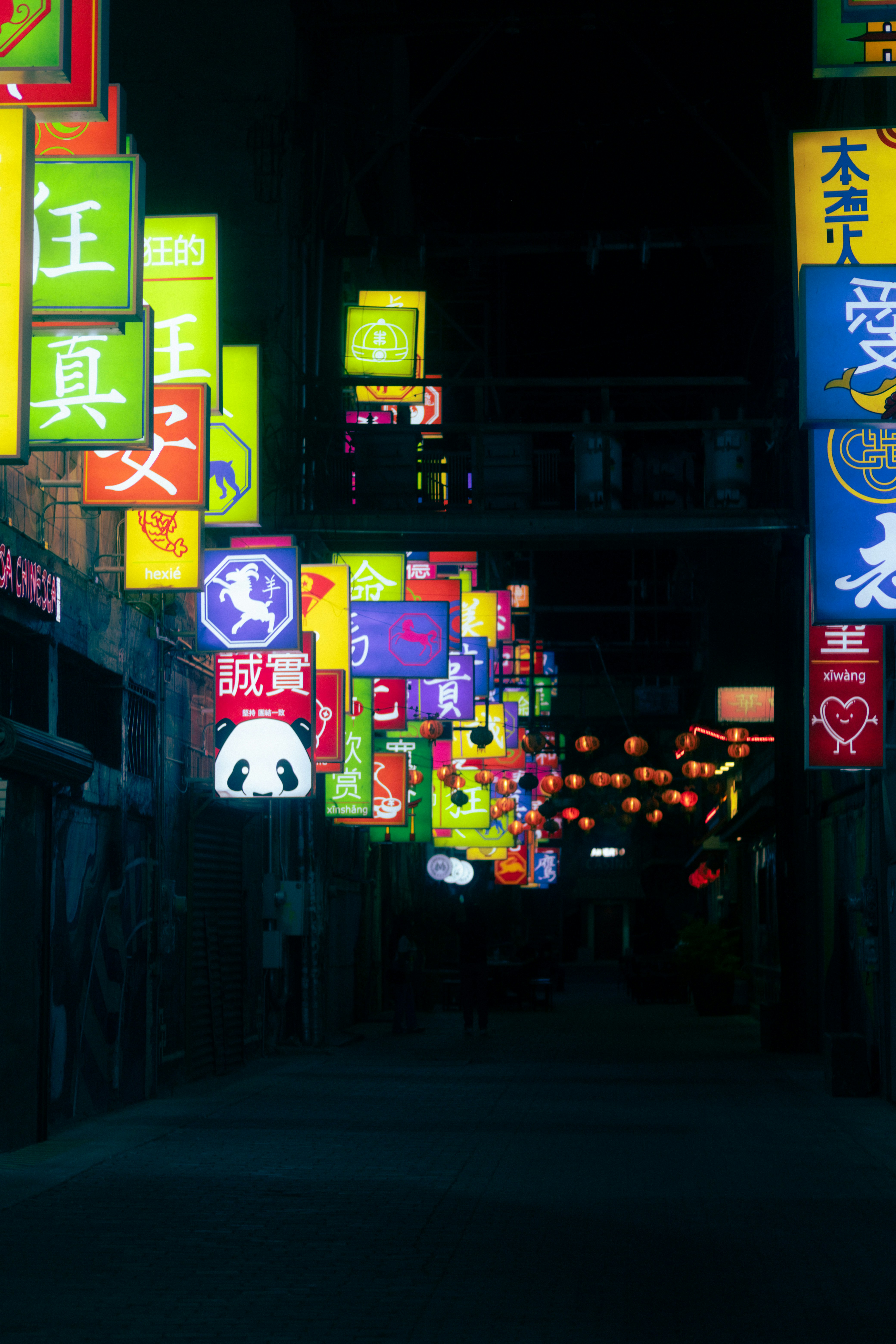 Photo by Angel Maldonado with Fujifilm X-T3