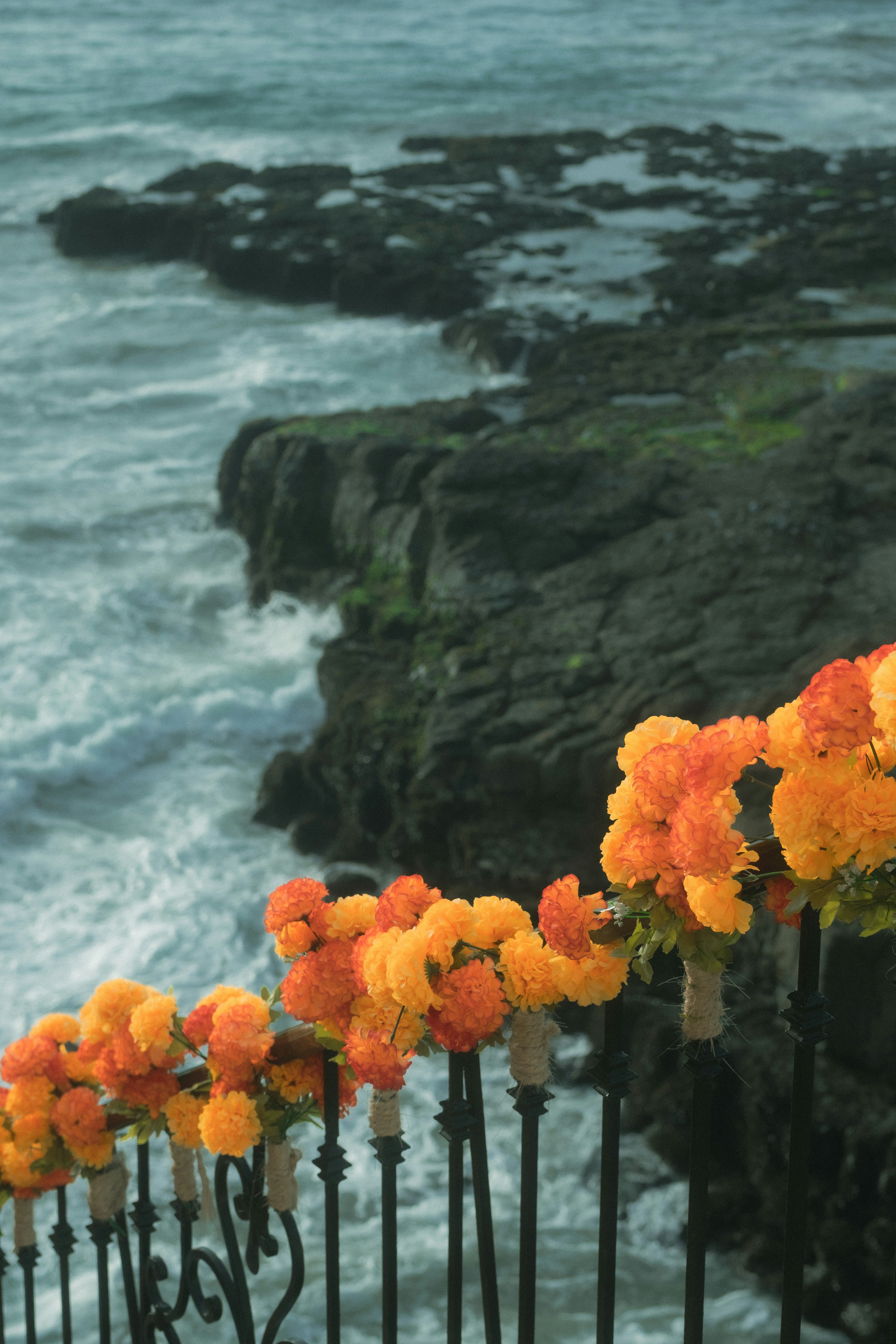 Orange Blooms Along a Cliffside Sea Gate