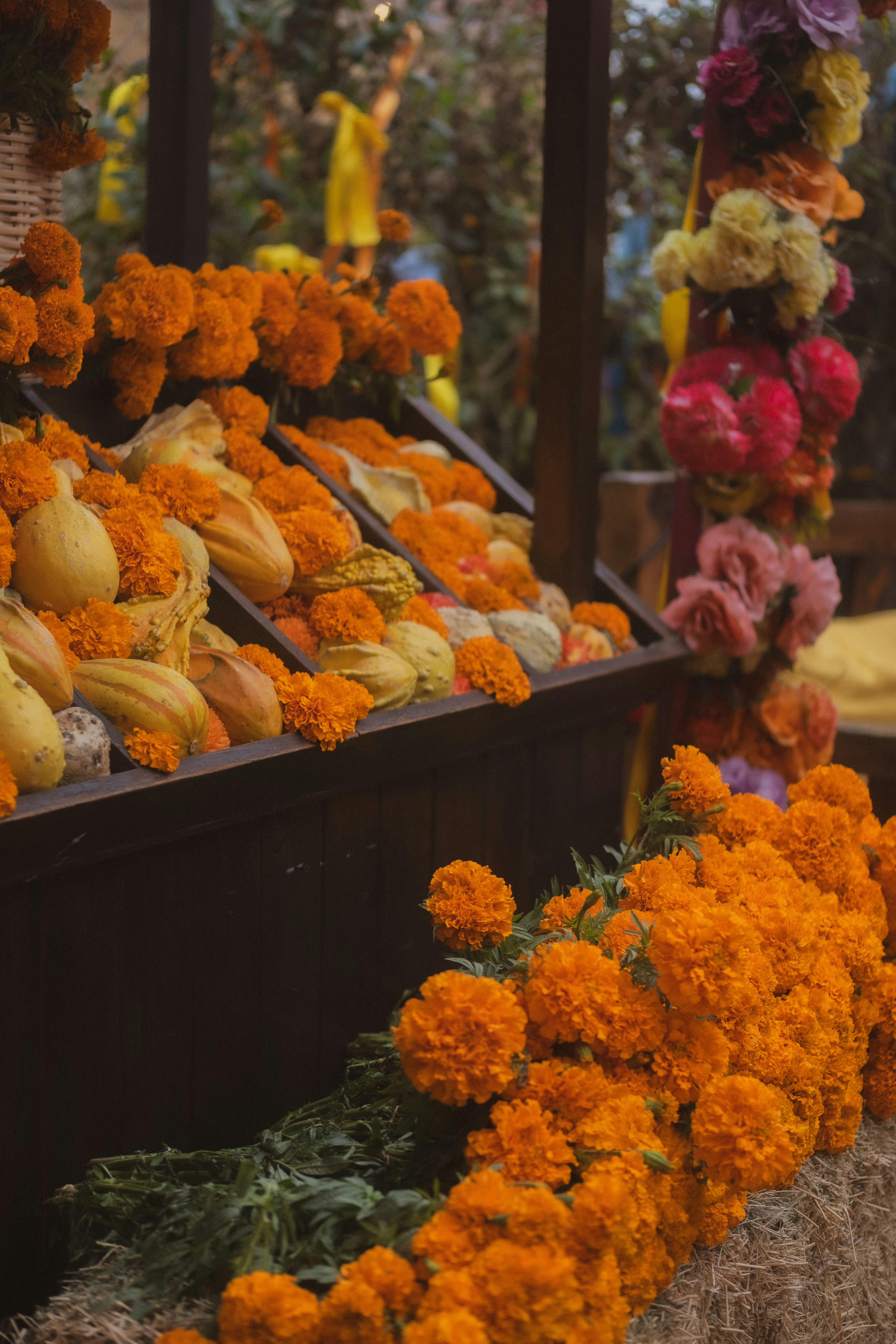 Orange Marigold Parade: A Market Still Life Flourish