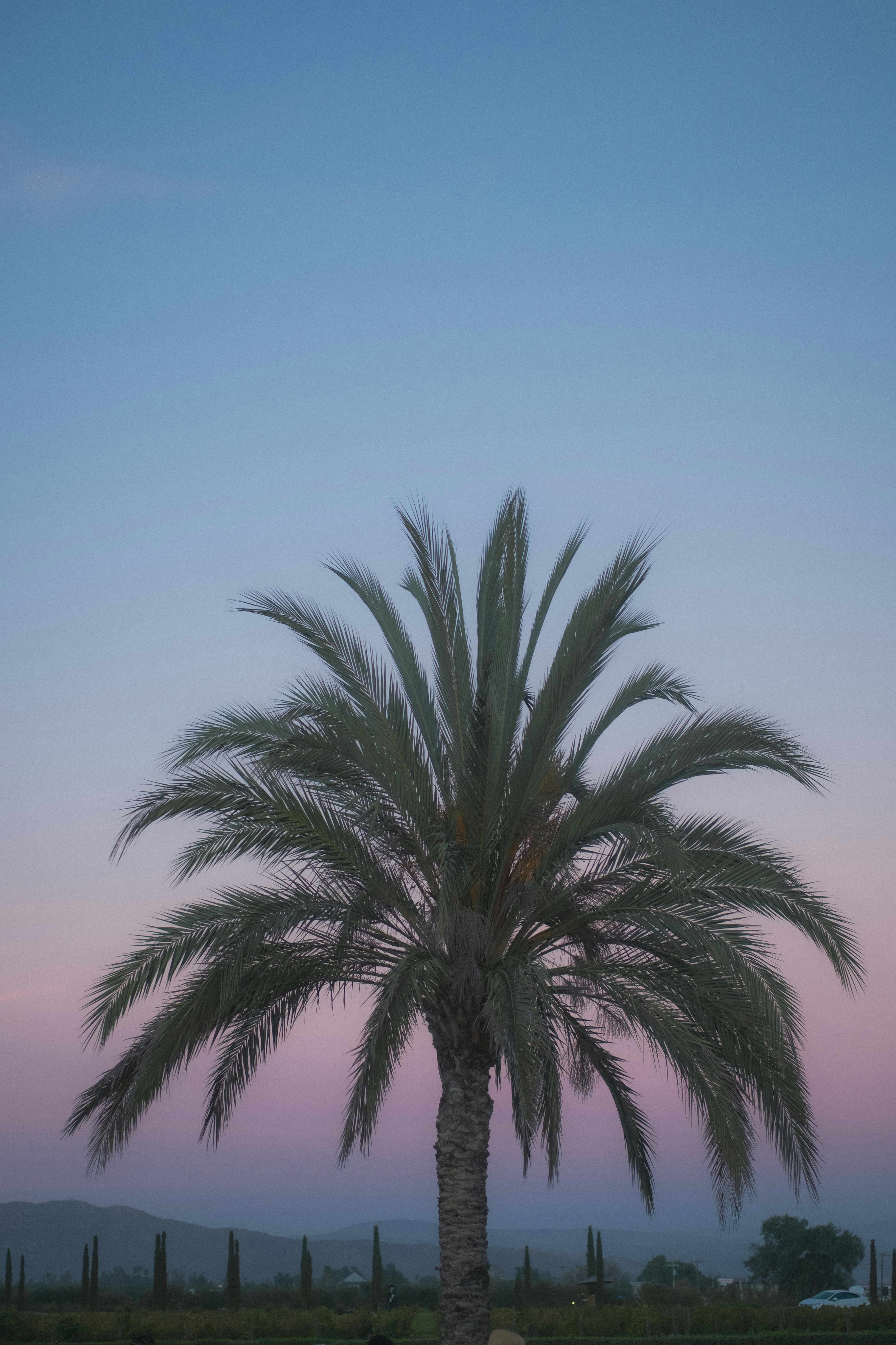 Photo by Angel Maldonado with Fujifilm X-T3