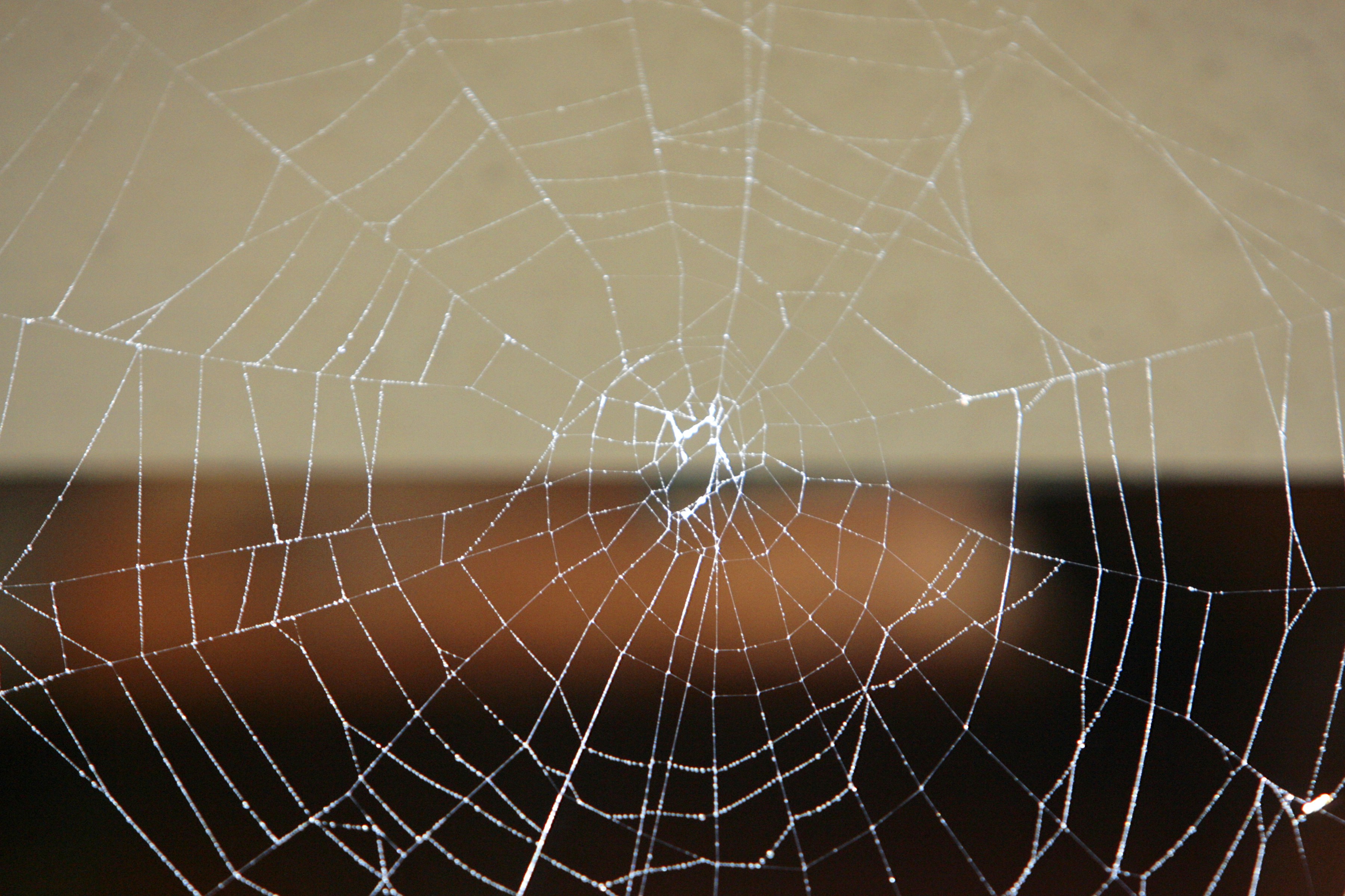 Photo by David Trinks with Canon EOS-1D Mark II N