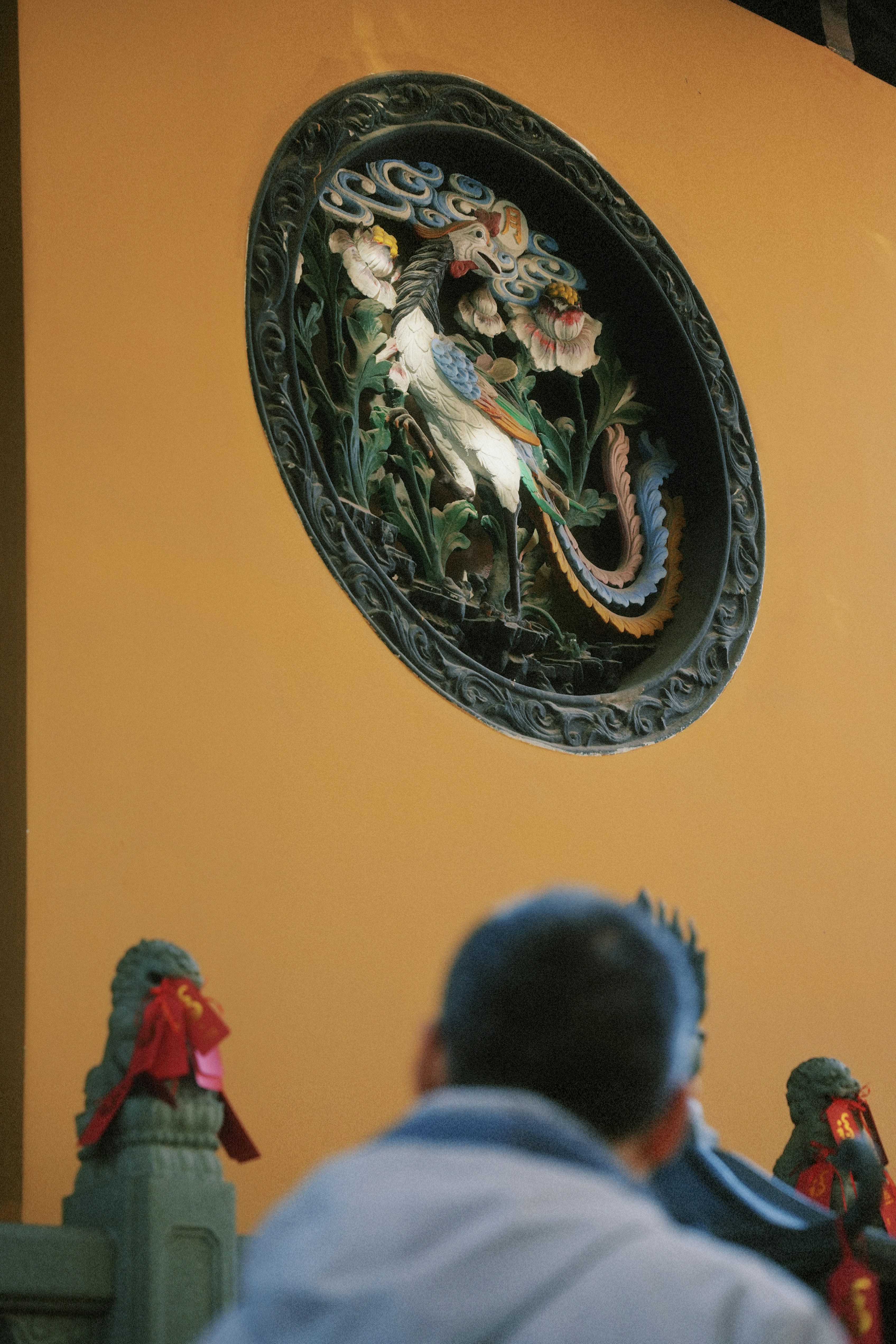 The Orange Wall and the Framed Bird: A Visitor Gazes Up at Decor