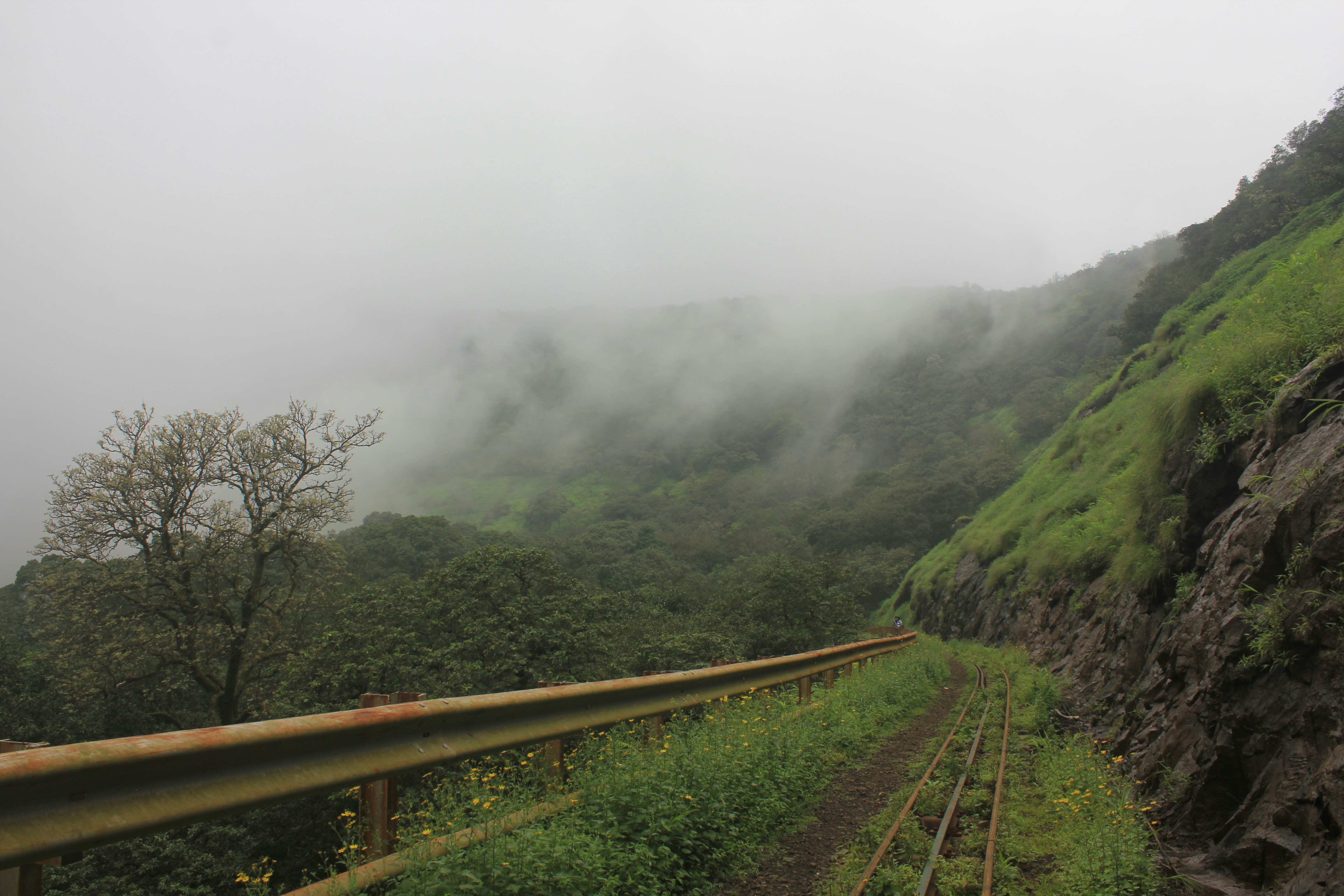 Photo by Ramesh Banra with Canon EOS 550D