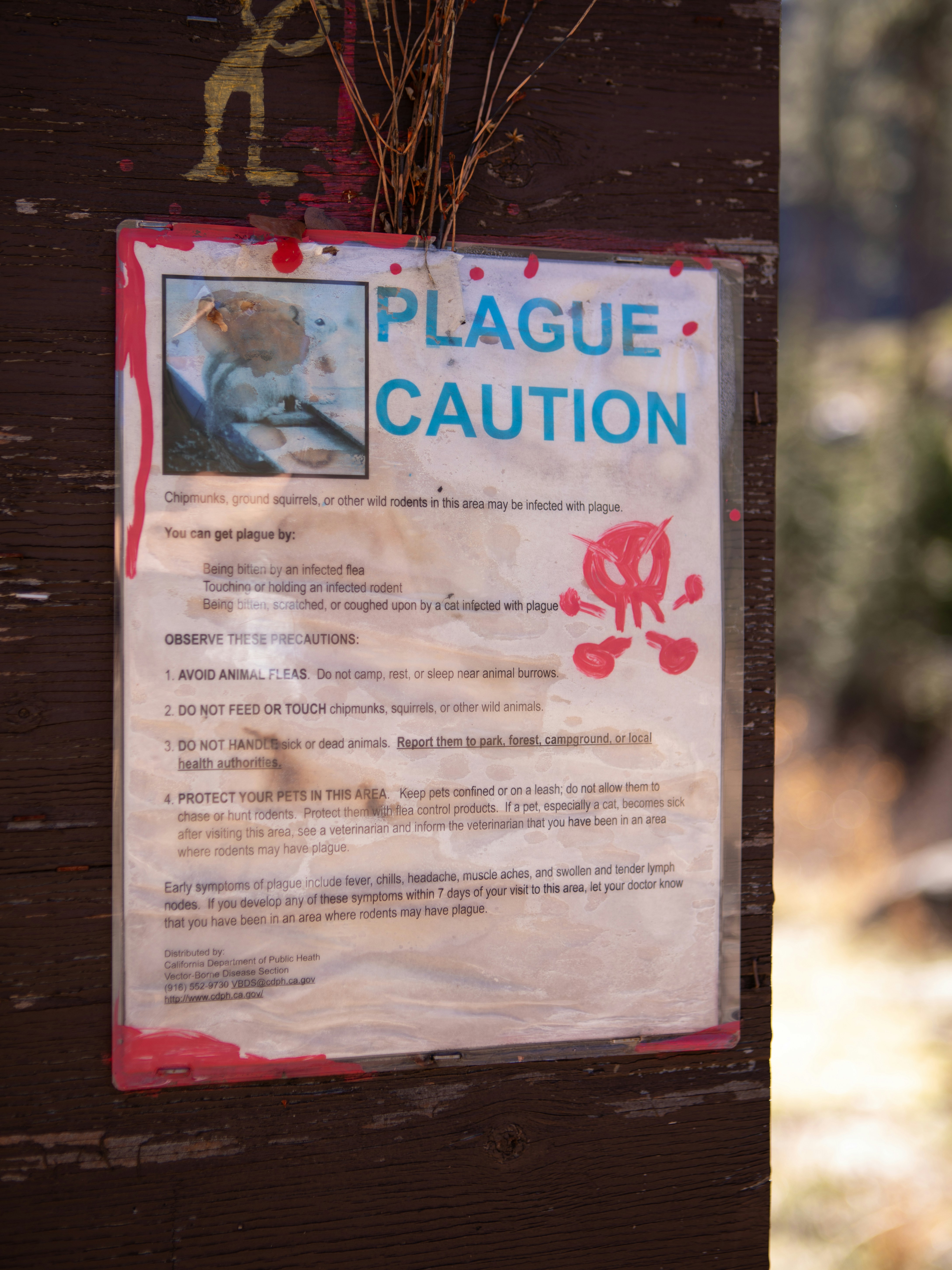 Plague Caution Sign Adorned with Red Scribbles in Rain-Dark Kiosk