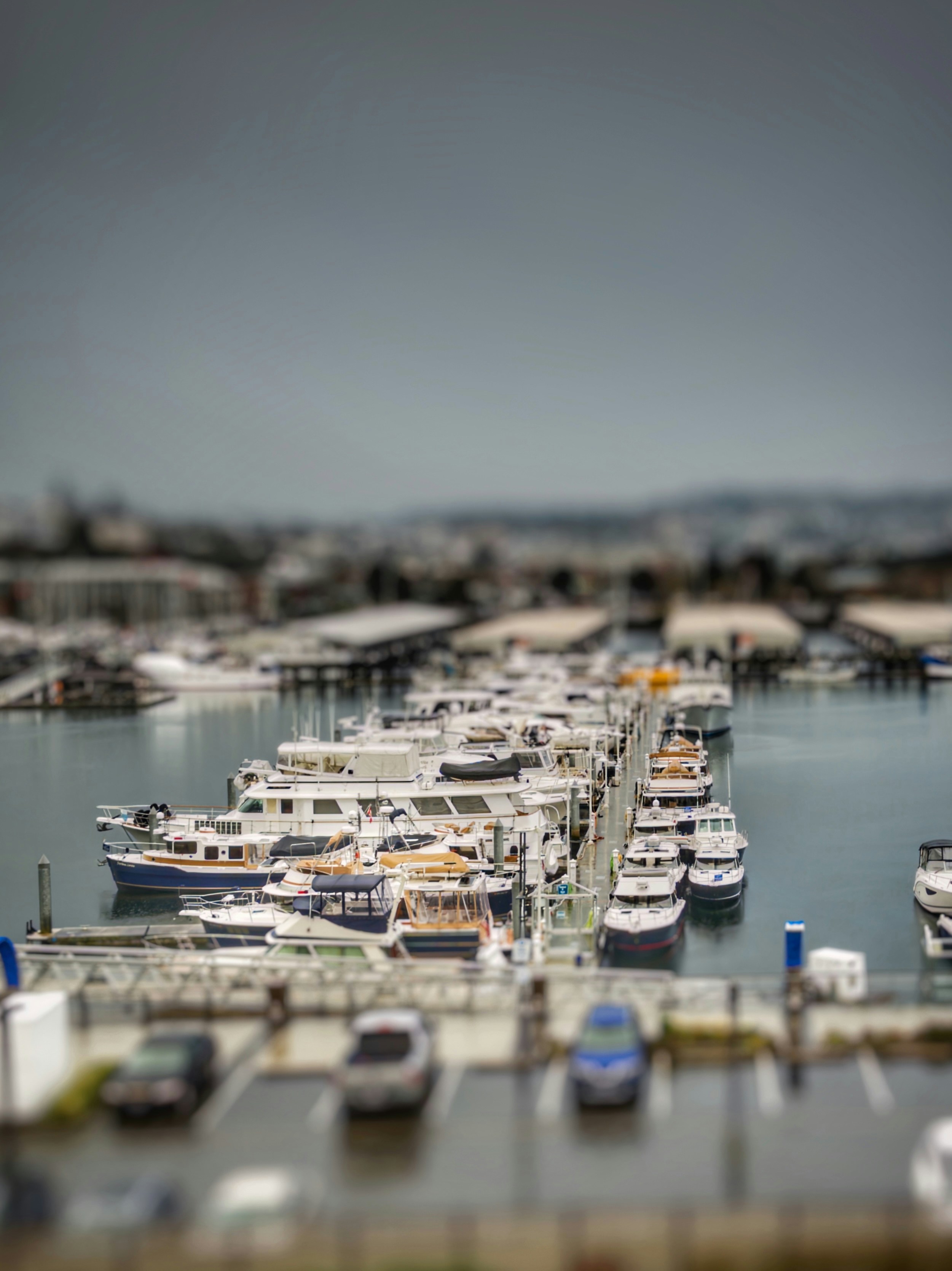 Marina in Focus: A Tilt-Shift Tour of Docked Boats