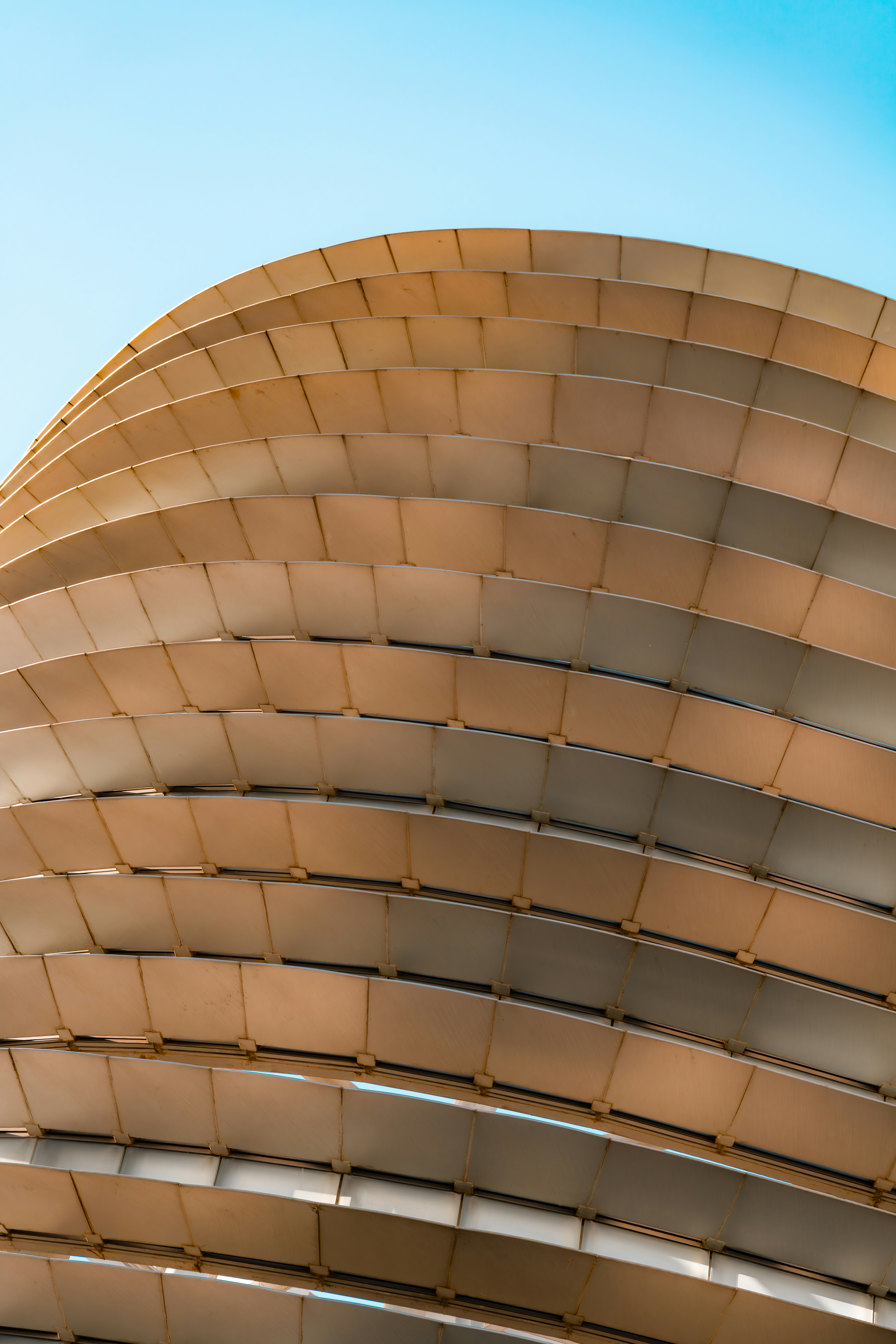 Curved Facade in Warm Light: A Rhythm of Panels Against a Clear Sky