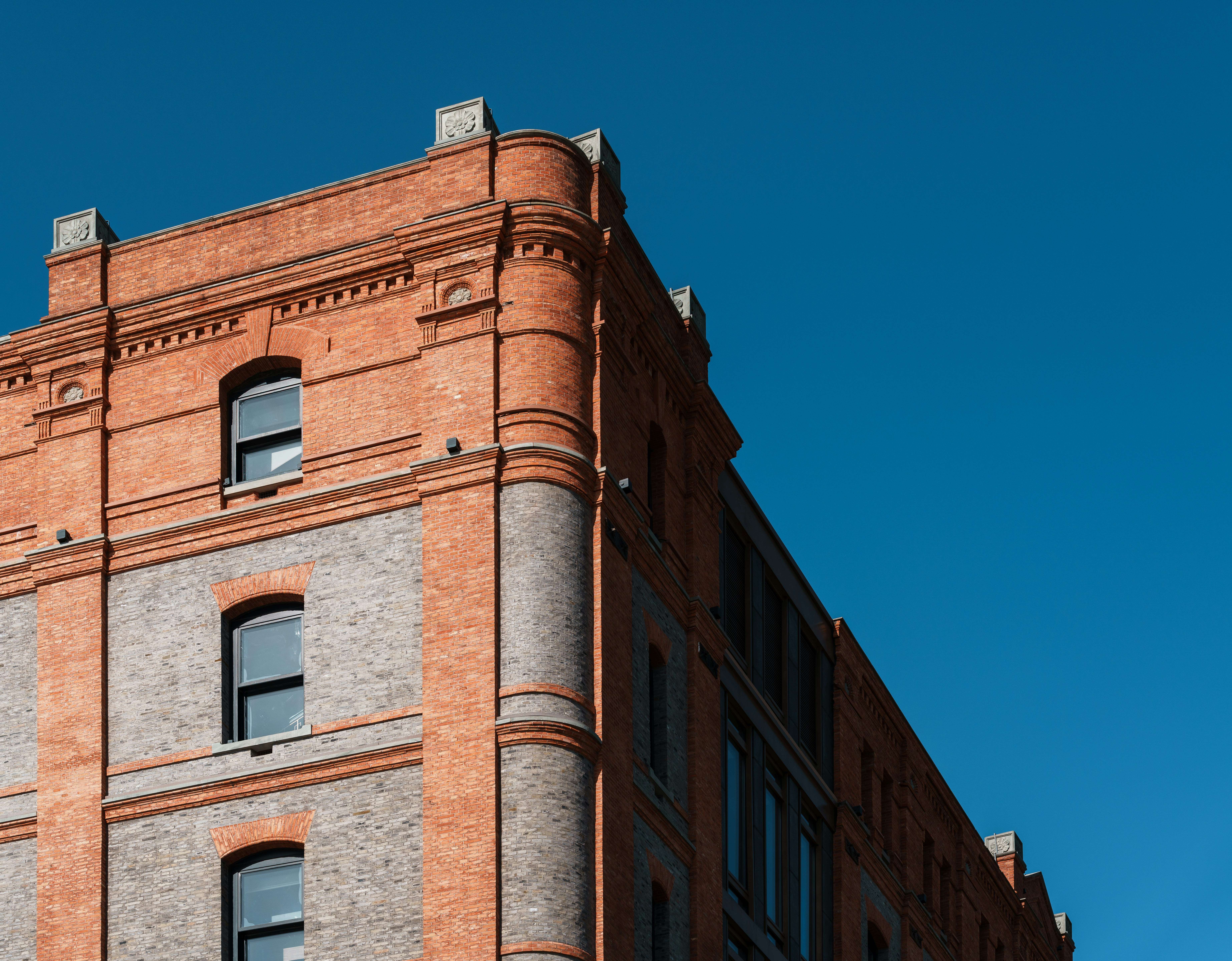 Photo by Declan Sun with Sony Alpha 7R V