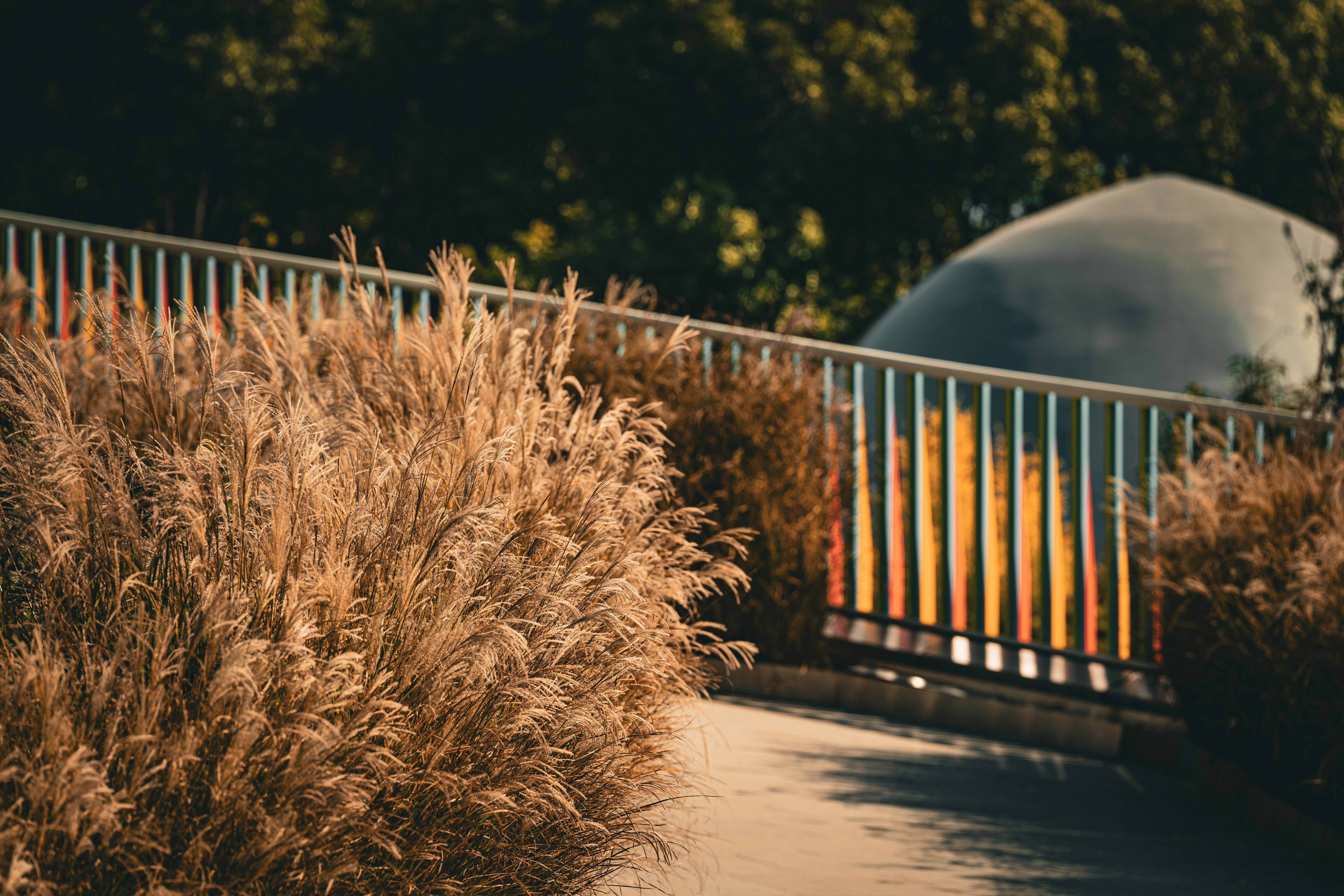 Photo by Declan Sun with Sony Alpha 7R V