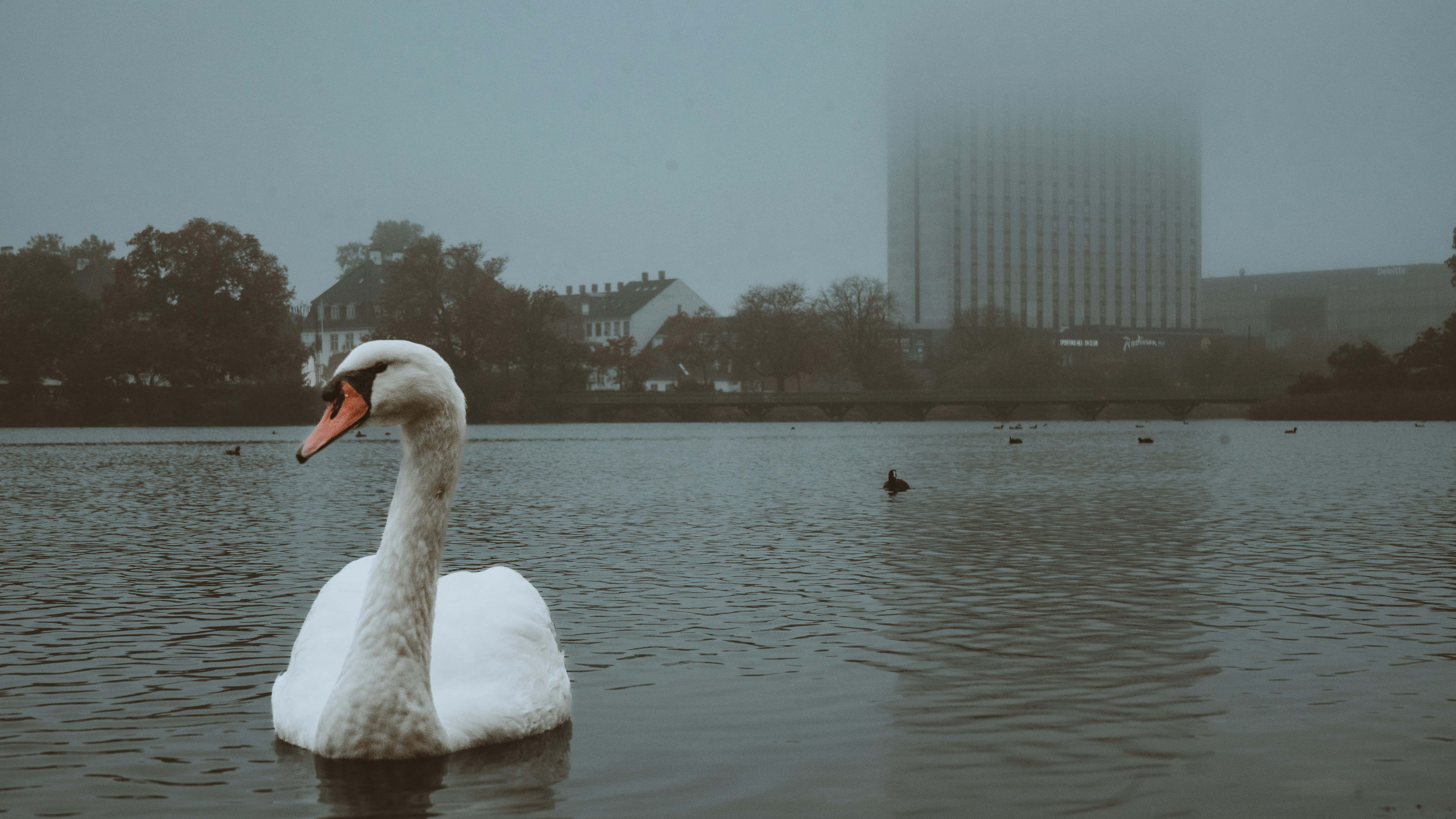 Photo by Mohammad Bahadori with Sony Alpha 7 II