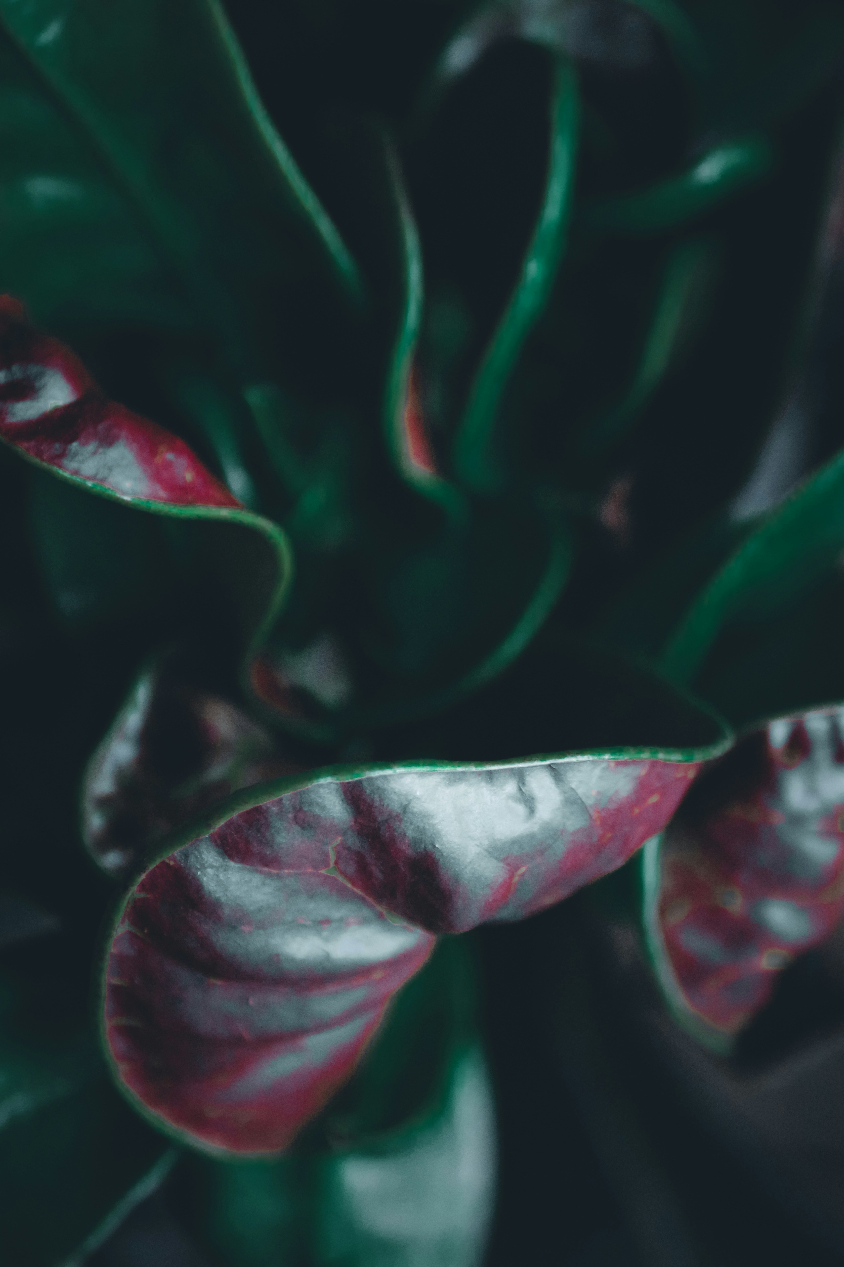 Photo by Biswanath Mahato with Canon EOS 700D