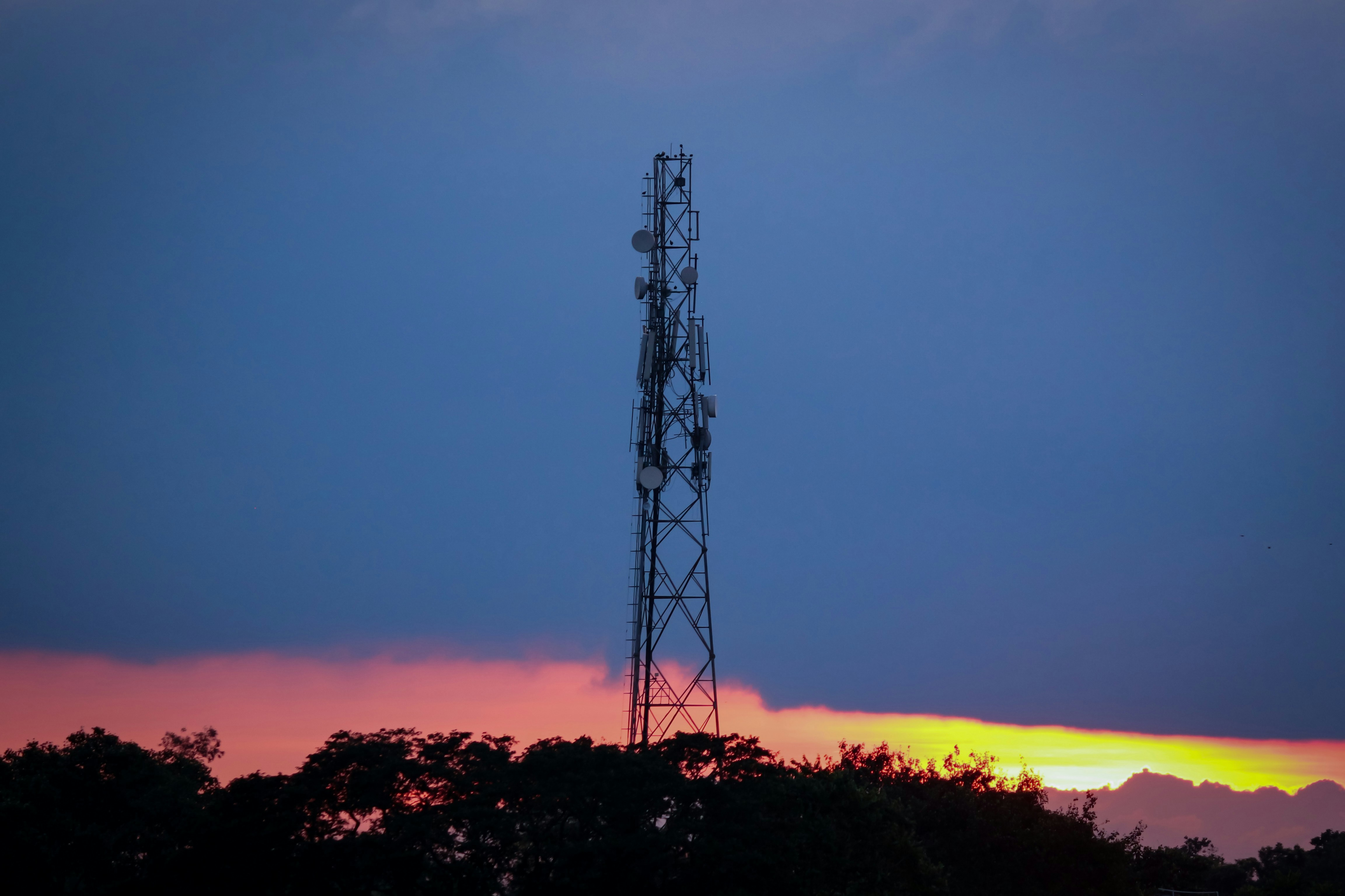 Photo by Biswanath Mahato with Canon EOS 700D